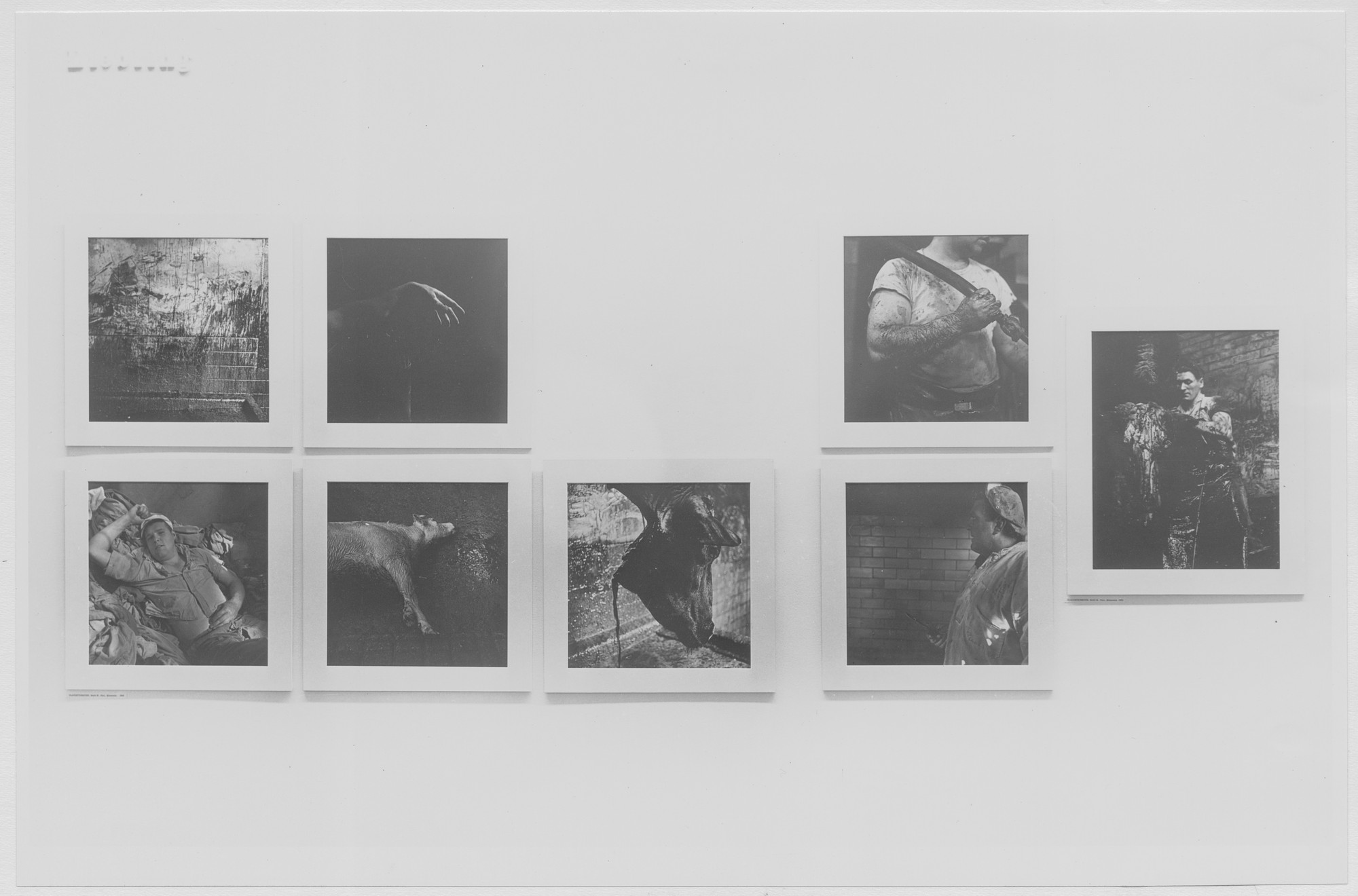 Installation view of the exhibition "Five Unrelated Photographers." | MoMA