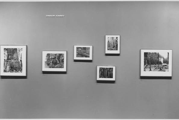 Darius Kinsey. Cedar. 1916 | MoMA