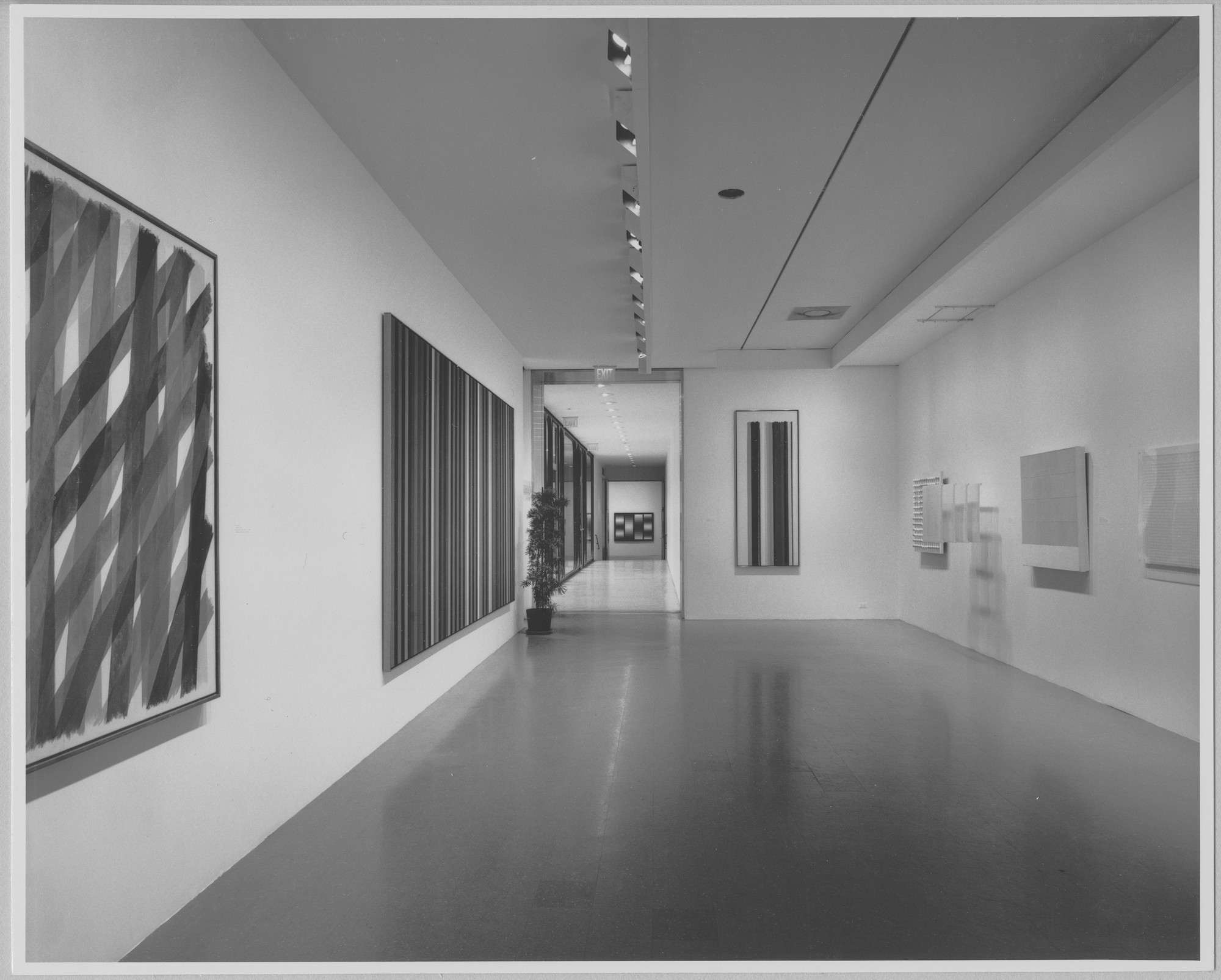 Installation view of the exhibition "The Responsive Eye." | MoMA