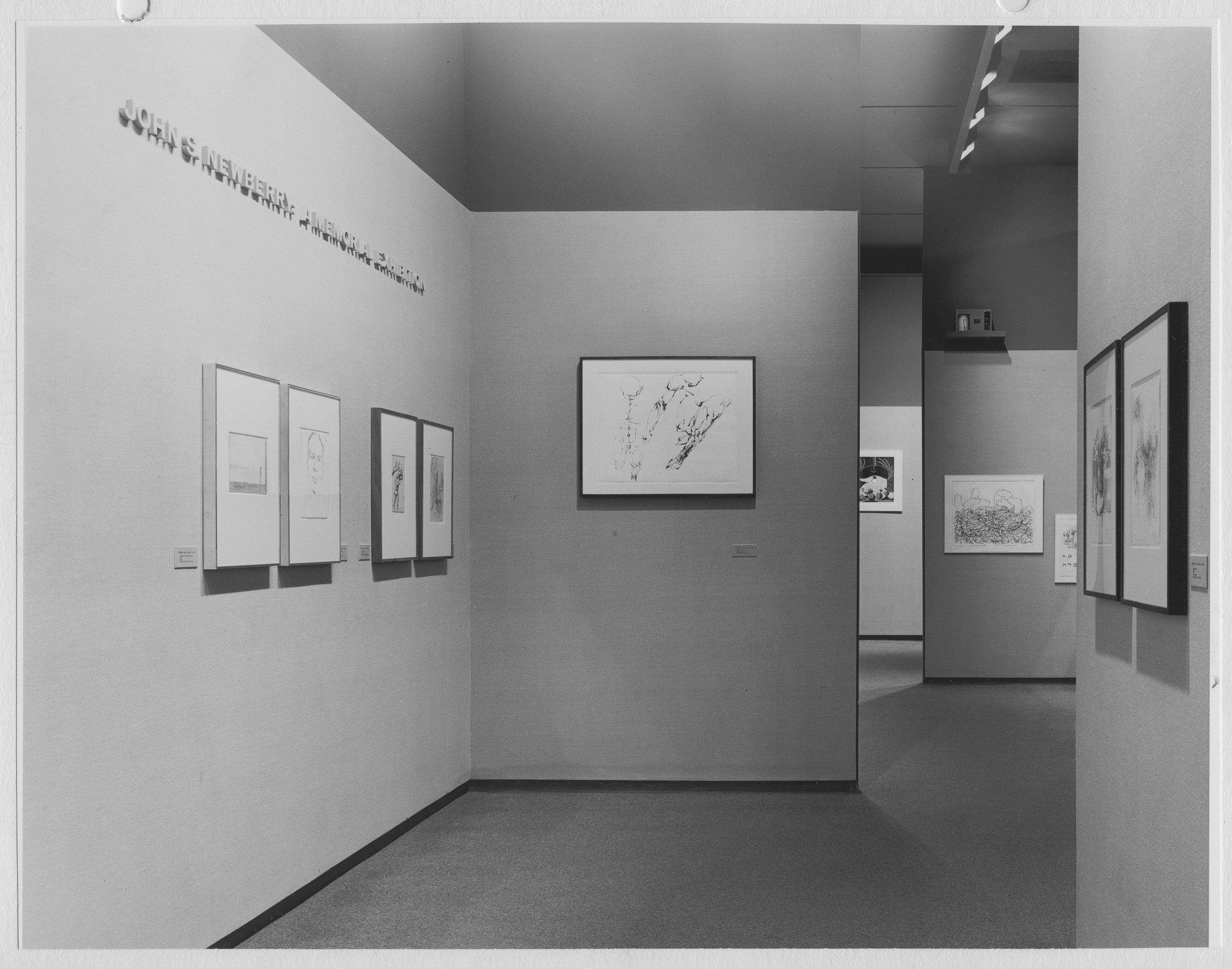Installation view of the exhibition "John S. Newberry: A Memorial ...