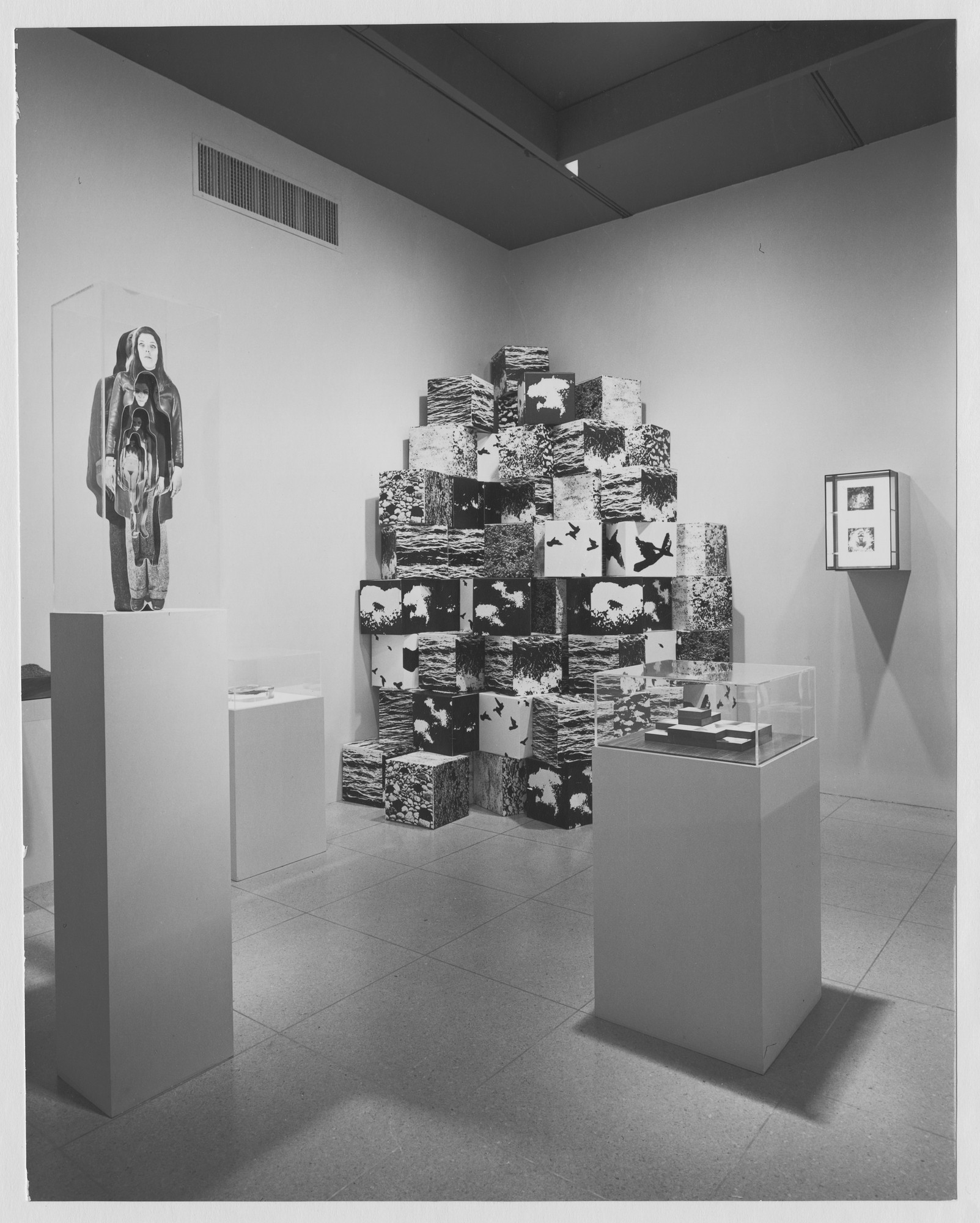 Installation view of the exhibition "Photography Into Sculpture." | MoMA