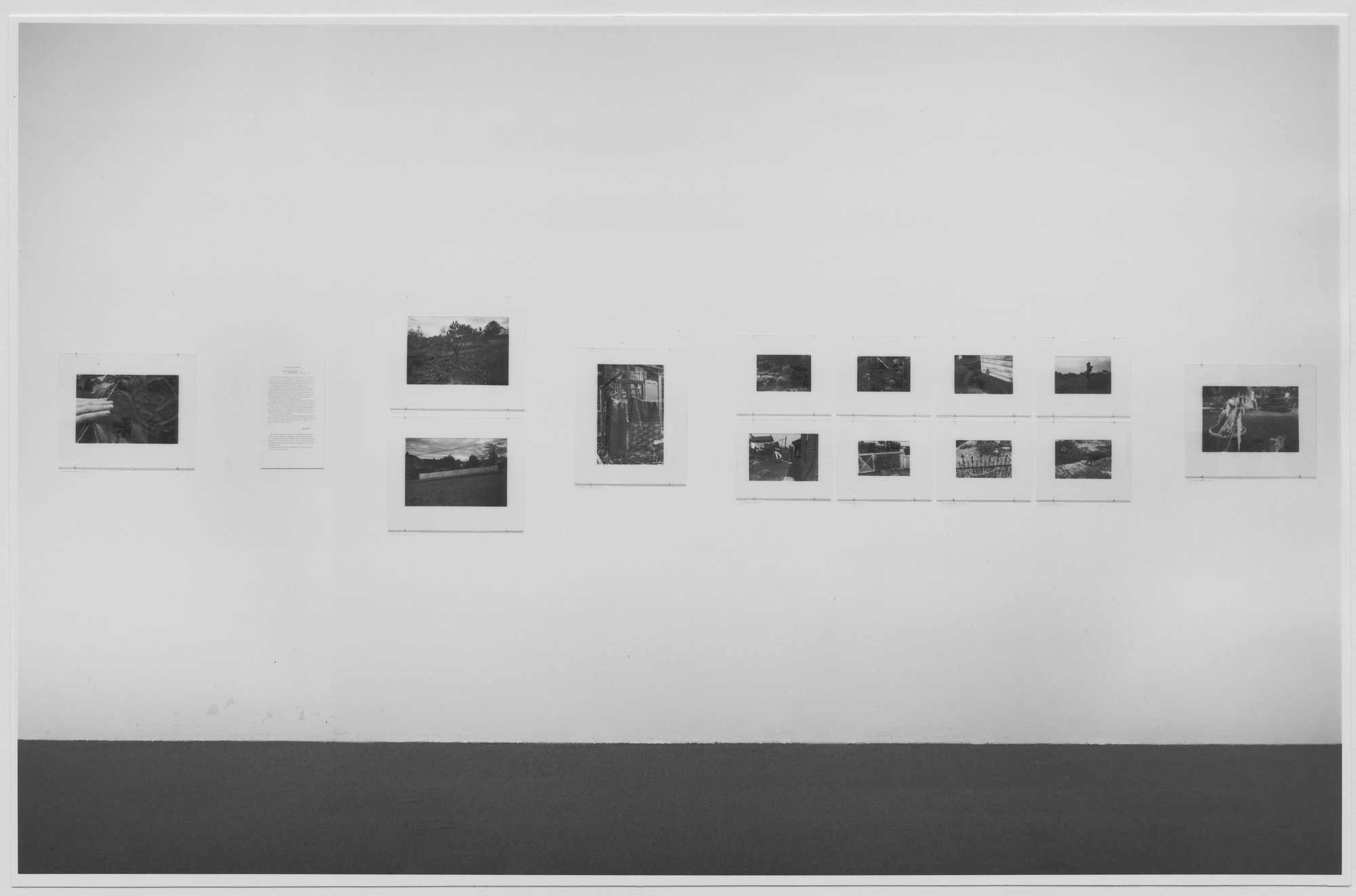 Installation View Of The Exhibition Photographs By Mark Cohen Moma