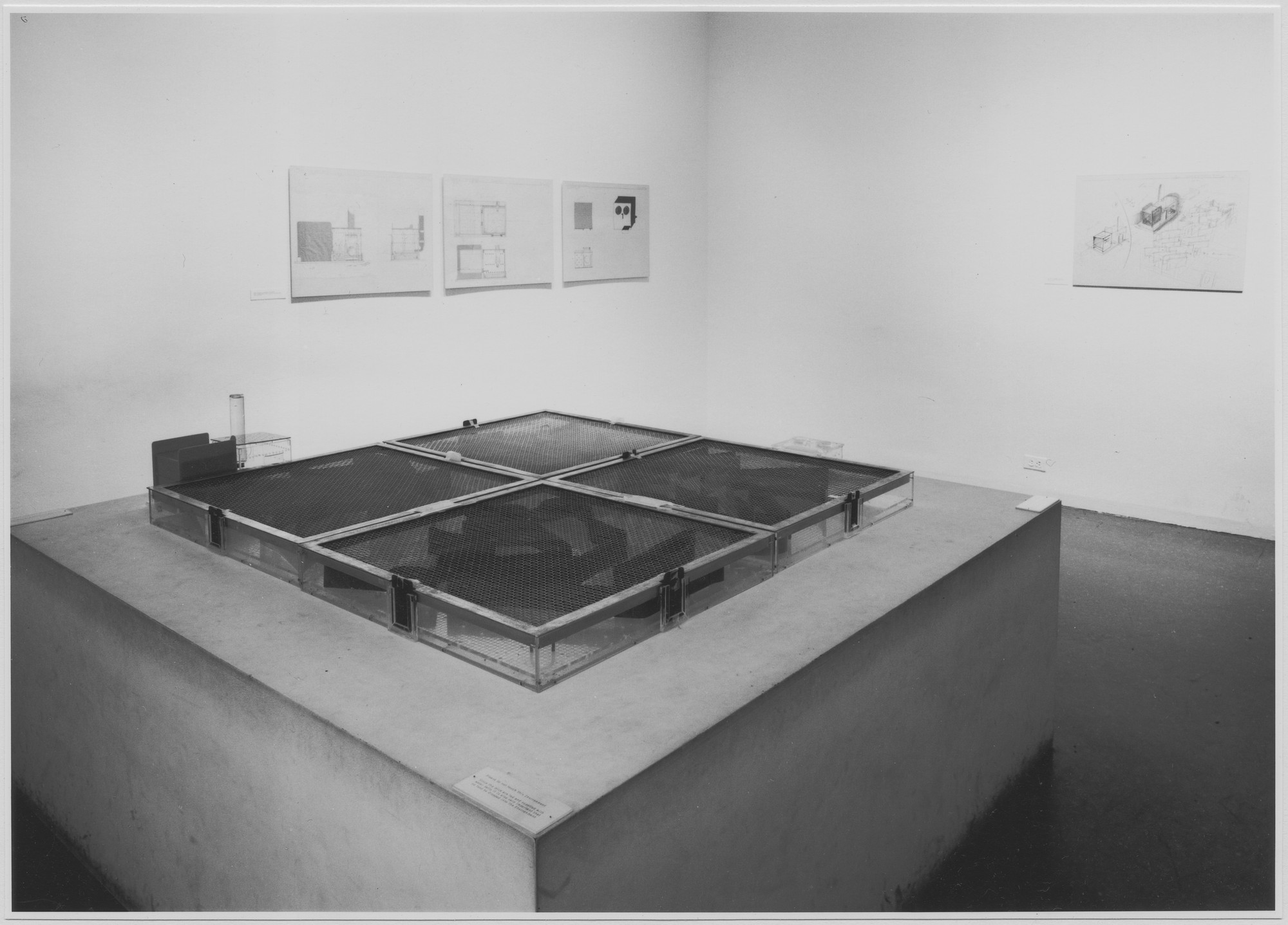 Installation view of the exhibition "Projects: Luis Fernando Benedit | MoMA