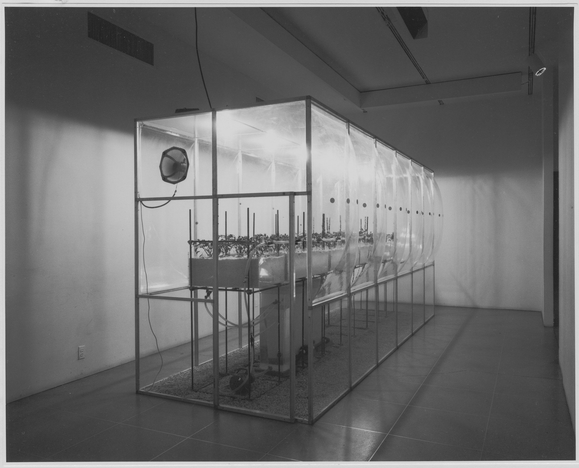 Installation view of the exhibition "Projects: Luis Fernando Benedit | MoMA