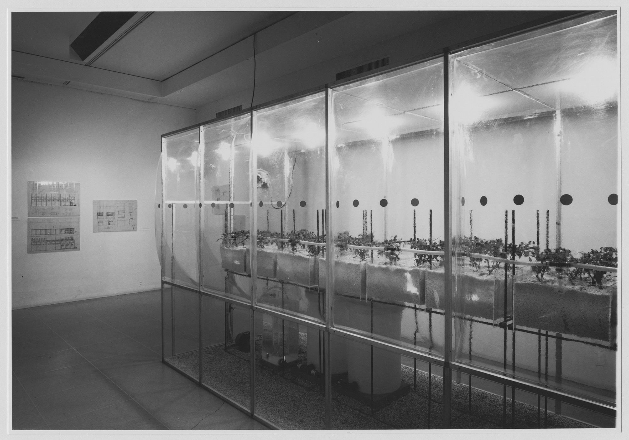 Installation view of the exhibition "Projects: Luis Fernando Benedit | MoMA