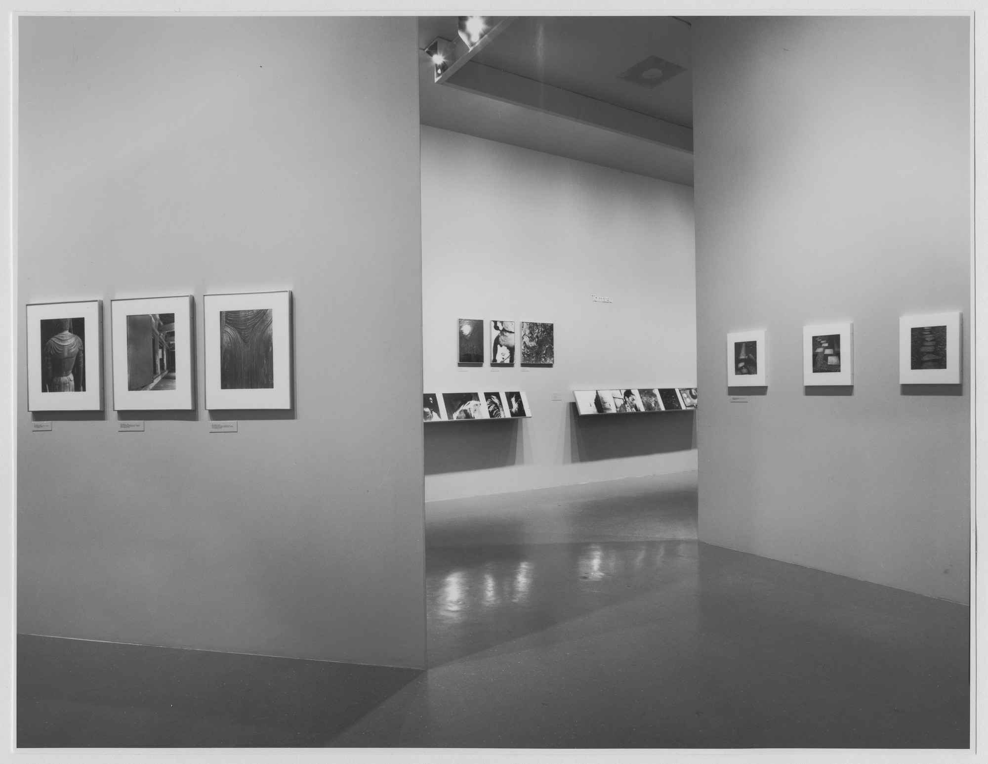Installation view of the exhibition "New Japanese Photography." | MoMA