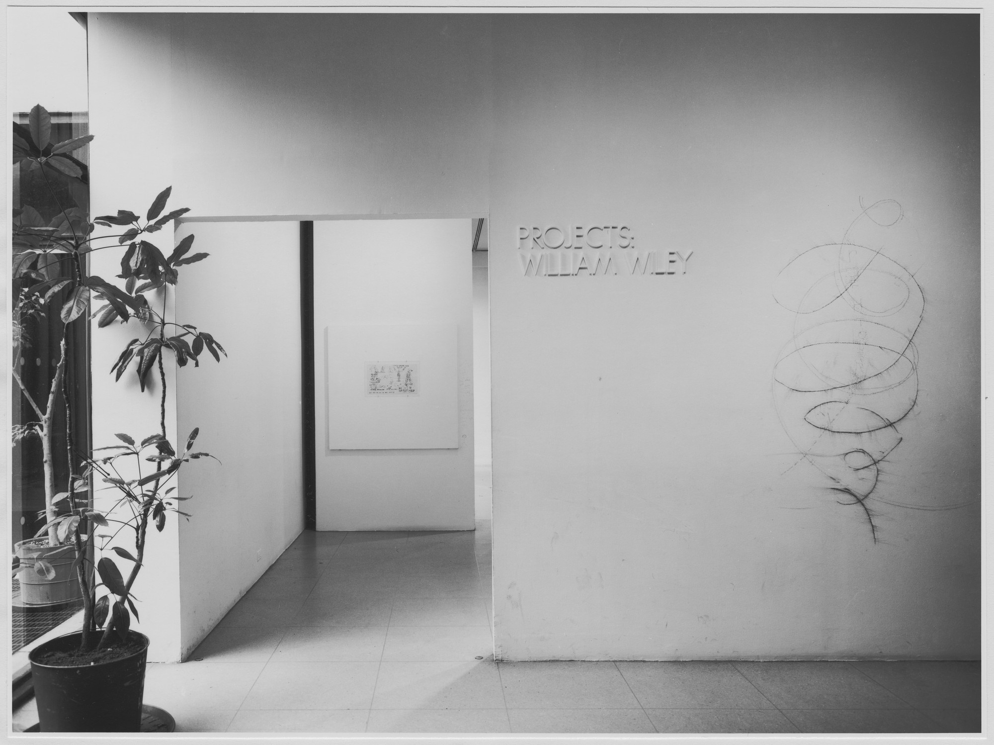 Installation view of the exhibition "Projects: William Wiley." | MoMA