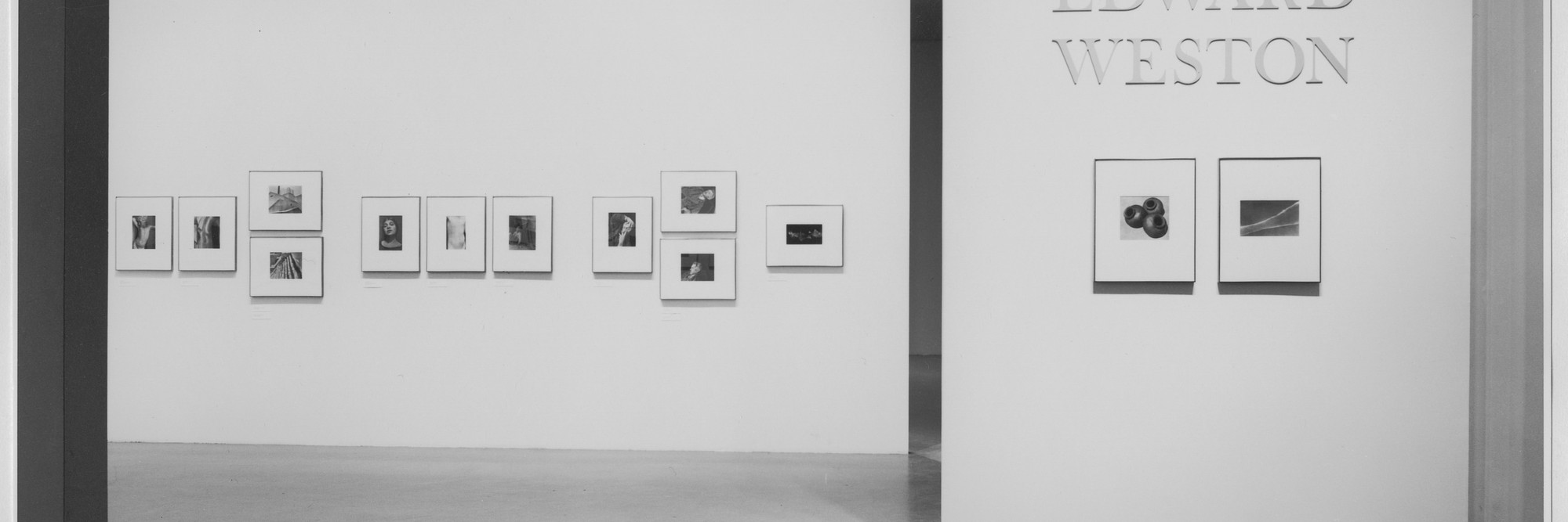 Edward Weston | MoMA