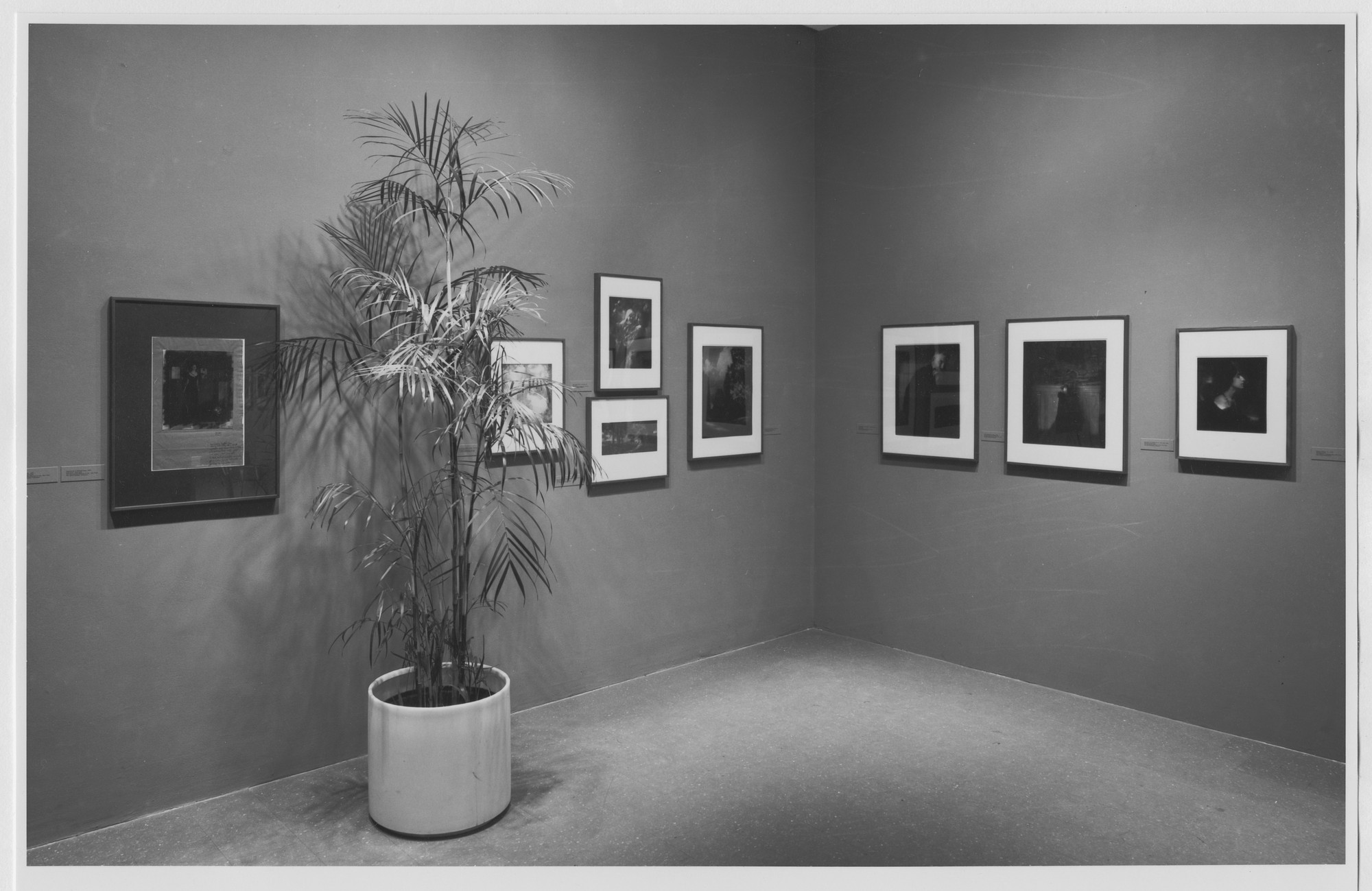 Installation view of the exhibition "Steichen: The Master Prints 1895 ...