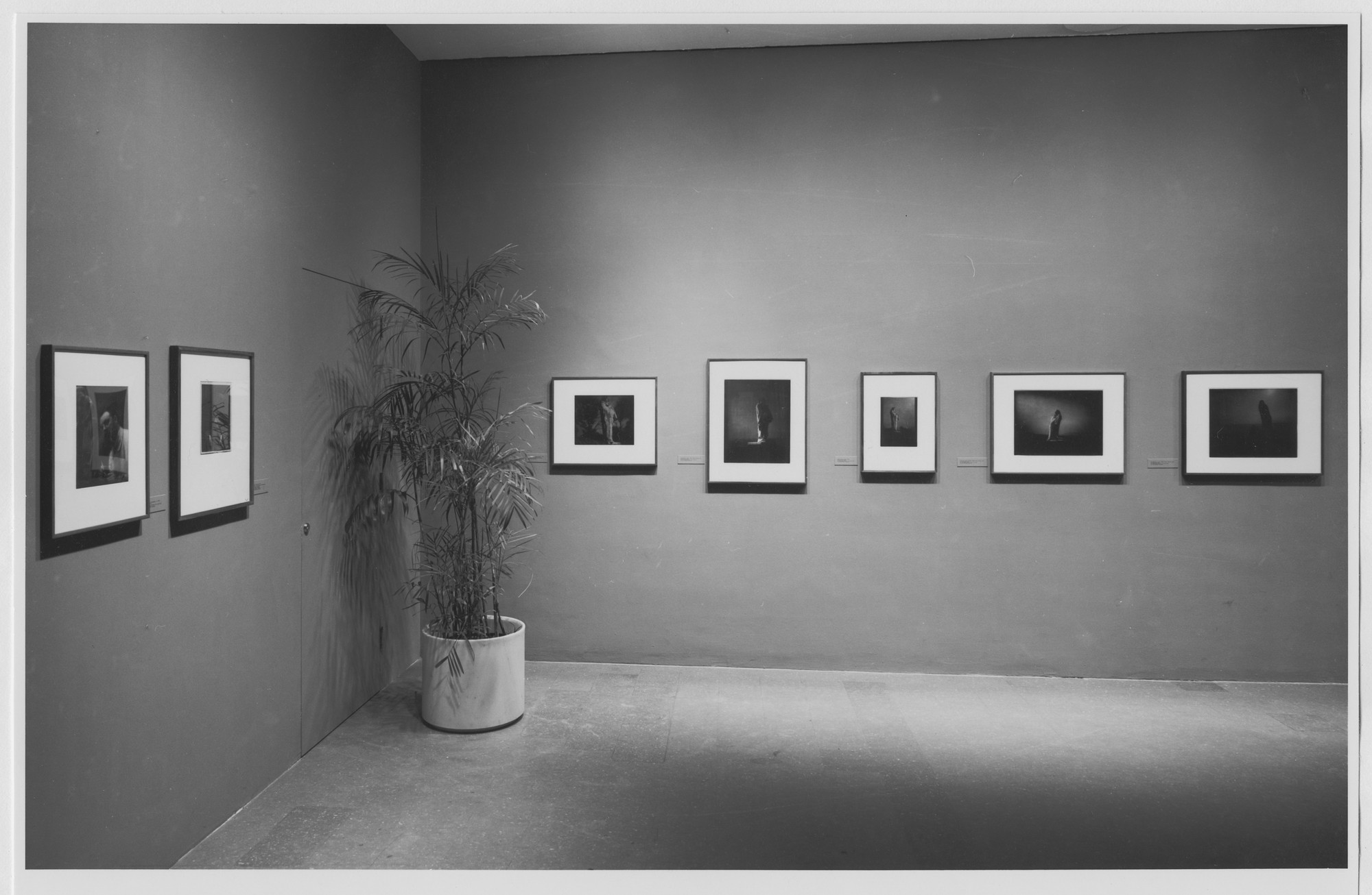 Installation view of the exhibition "Steichen: The Master Prints 1895 ...
