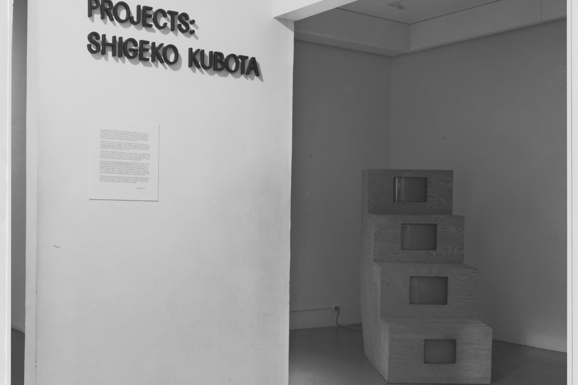 Projects: Shigeko Kubota | MoMA