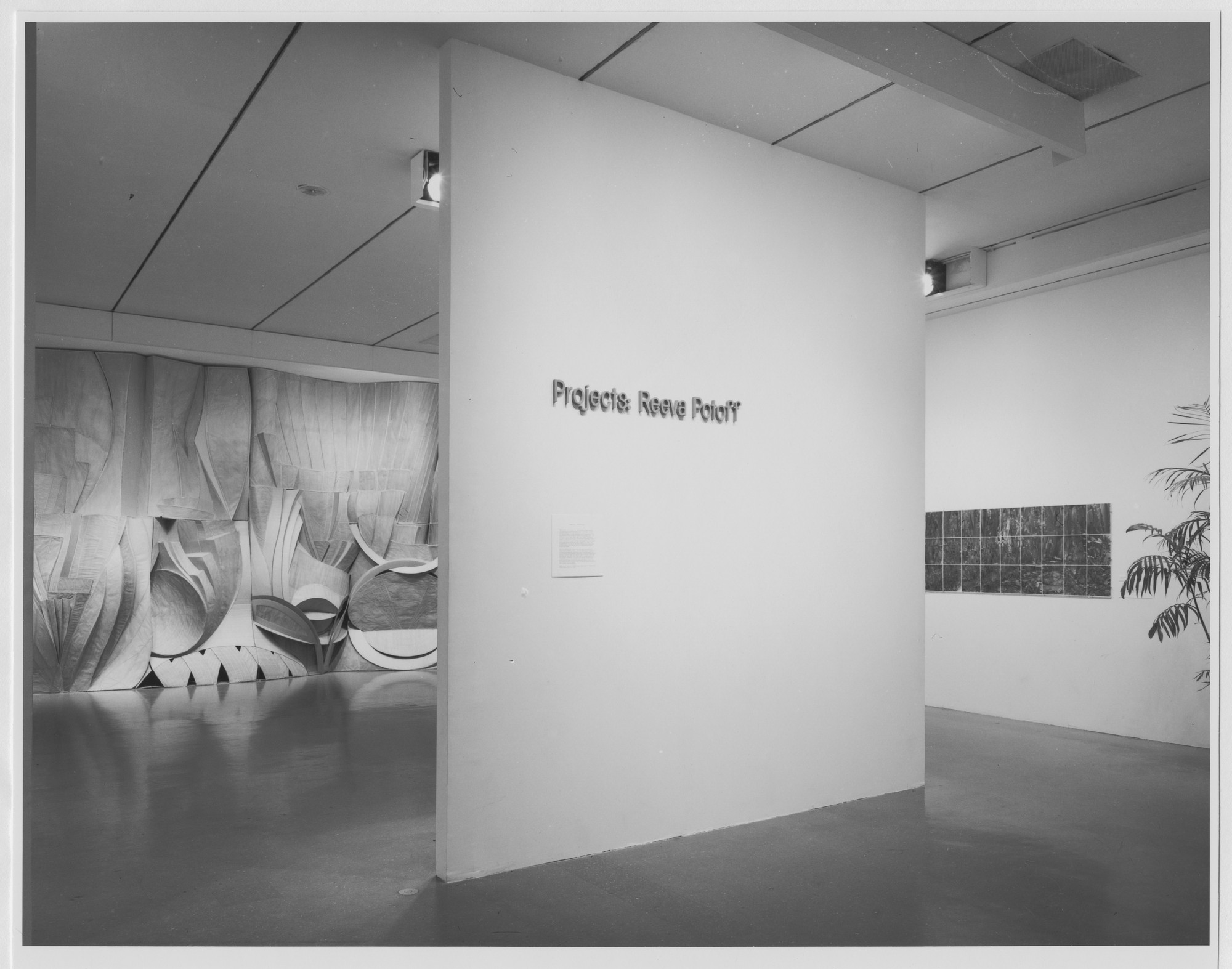 Installation view of the exhibition "Projects: Reeva Potoff" | MoMA