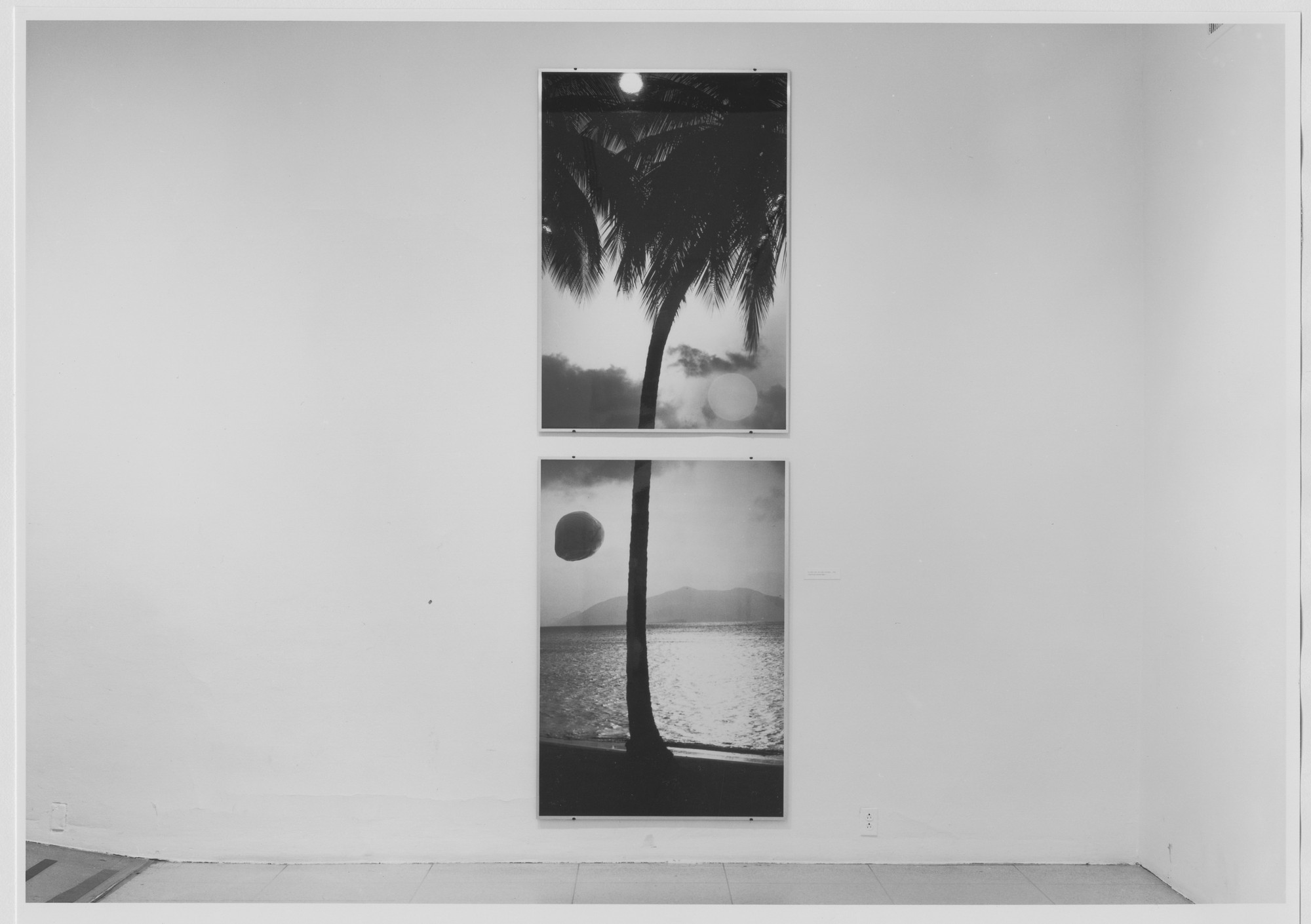 Installation view of the exhibition "Projects: William Beckley" | MoMA