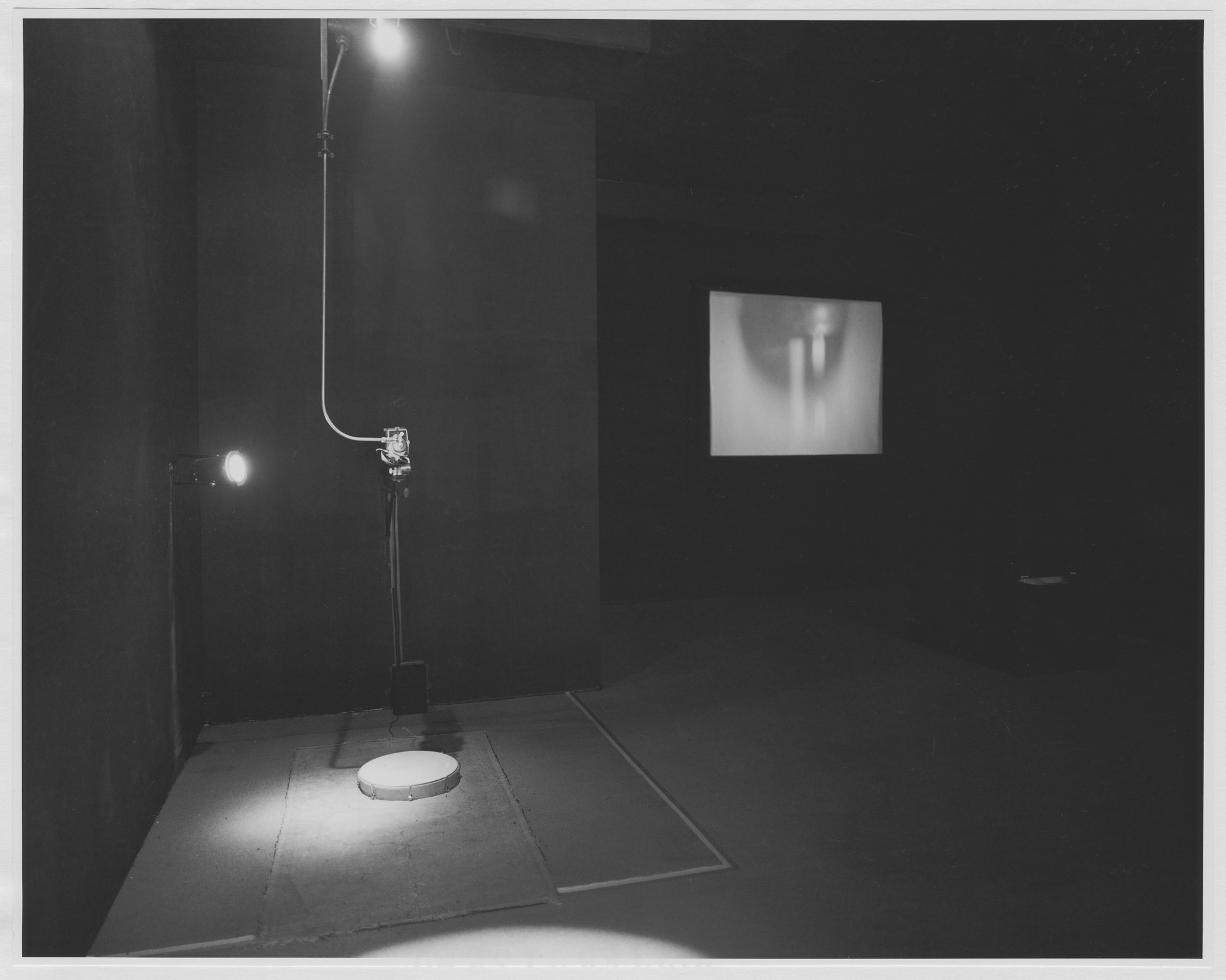 Bill Viola Installation