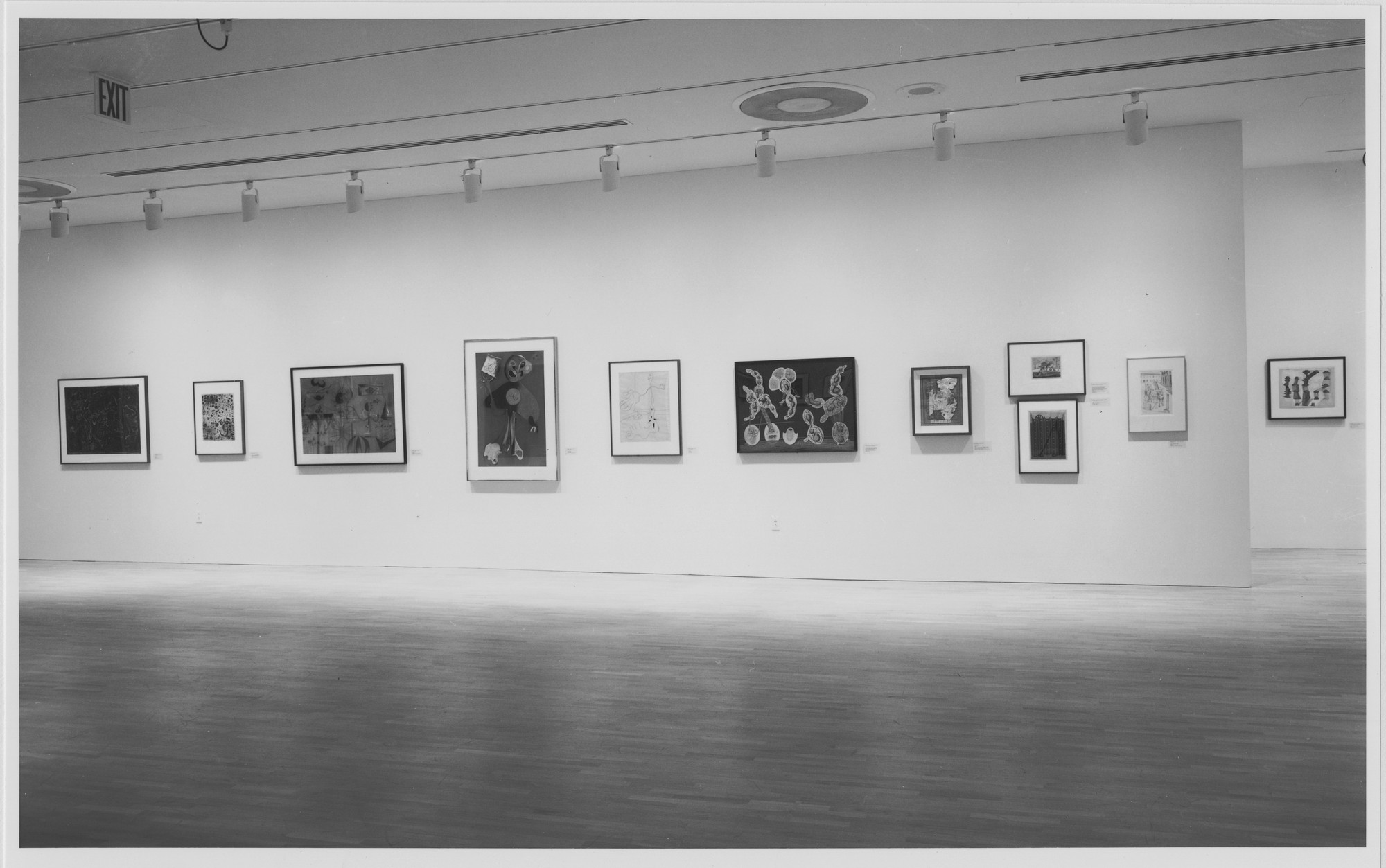 Installation view of the exhibition "A Century of Modern Drawings" | MoMA