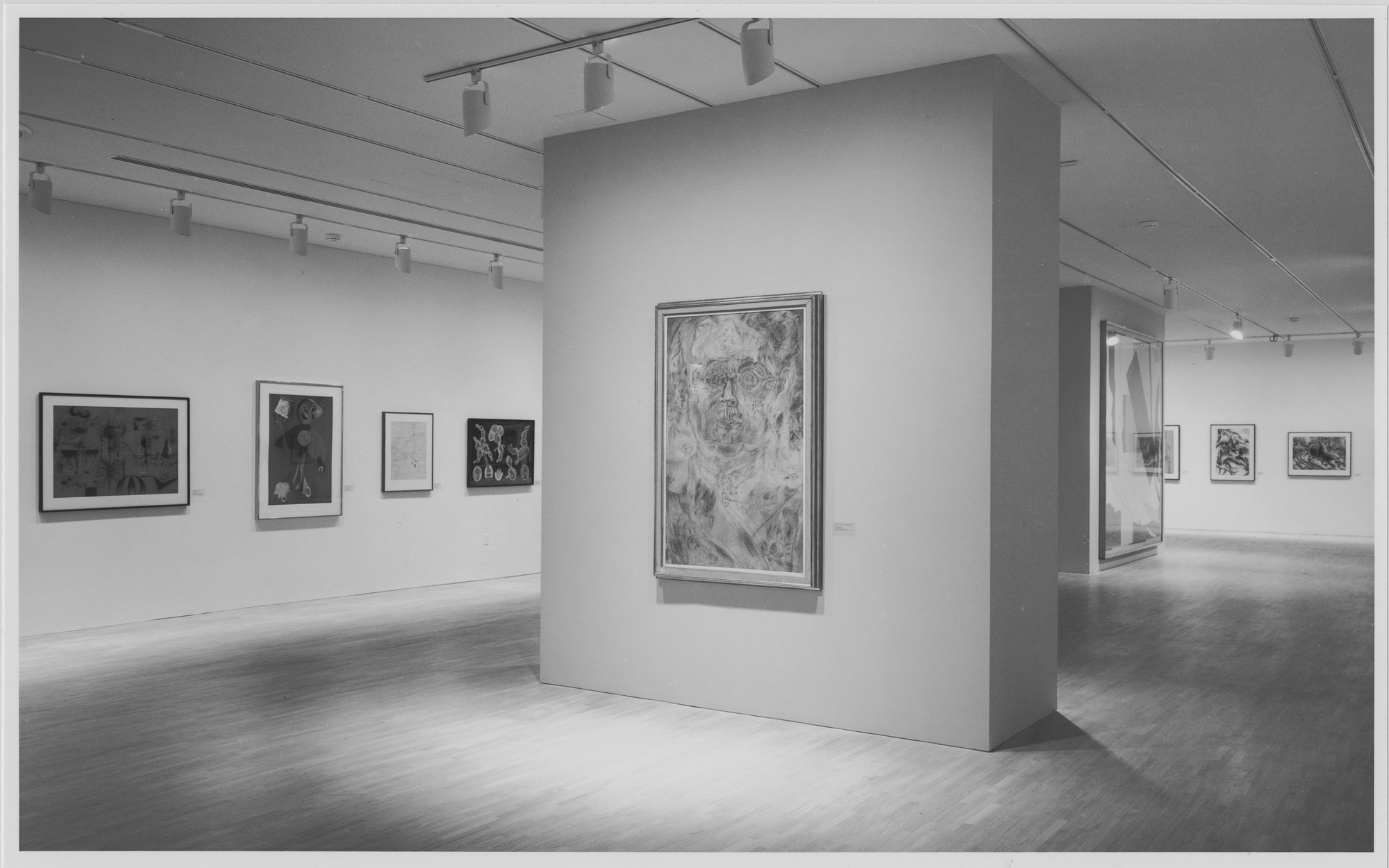 Installation view of the exhibition "A Century of Modern Drawings" | MoMA