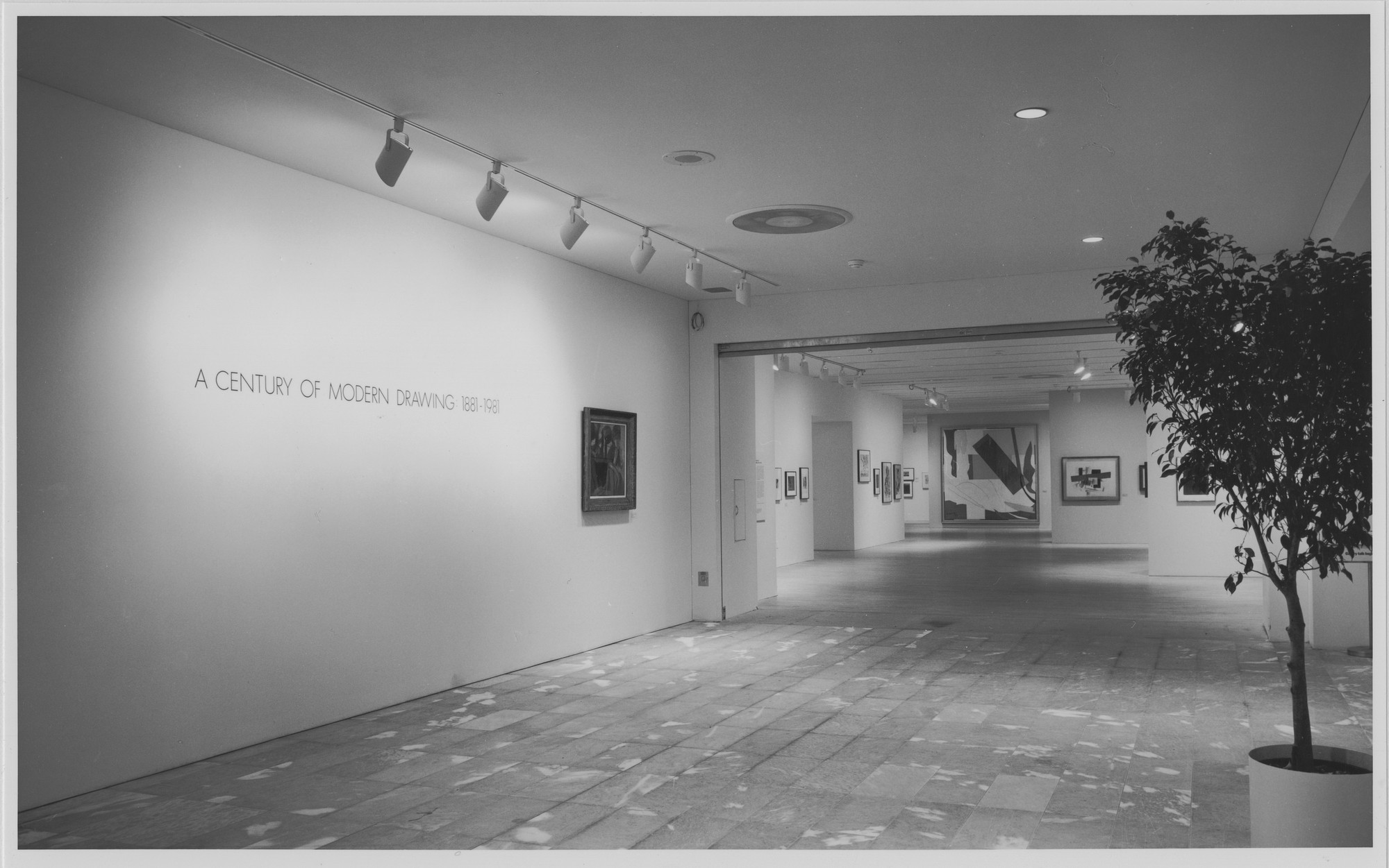 A Century of Modern Drawing, 1881–1981 | MoMA