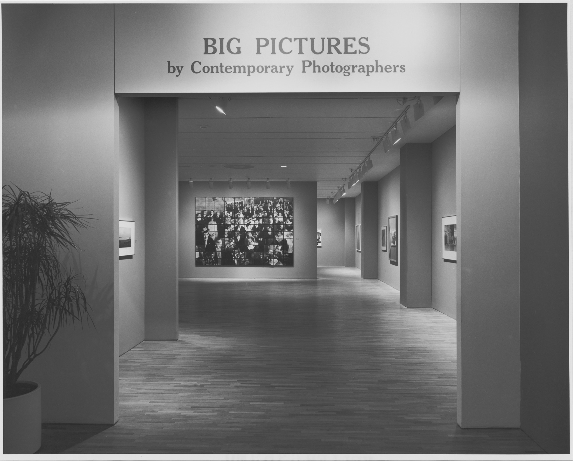 Big Pictures by Contemporary Photographers | MoMA