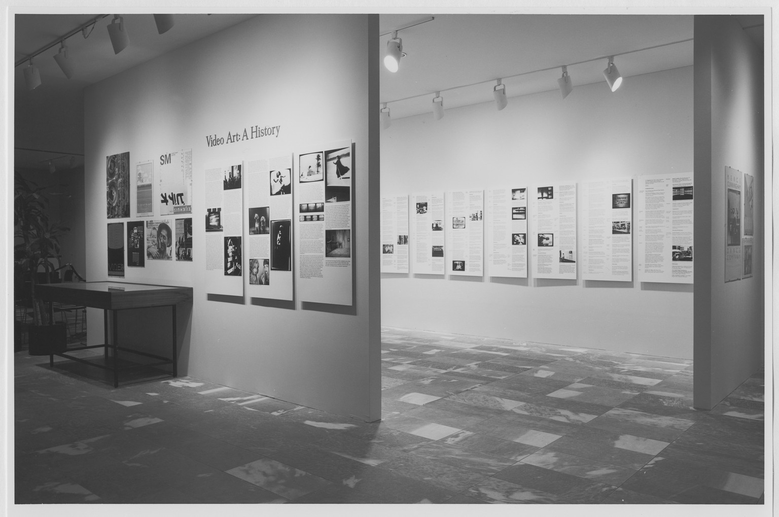 Video Art: A History | MoMA