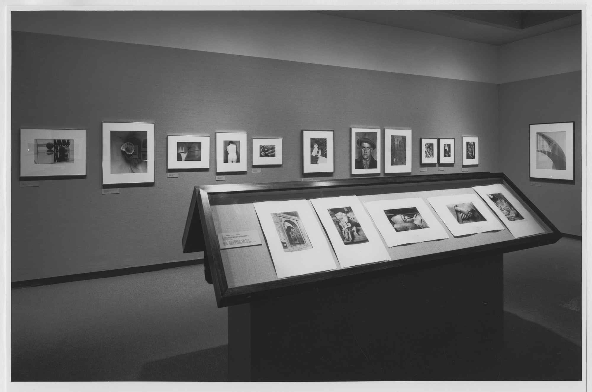 Installation view of the exhibition "Selections from the Permanent ...