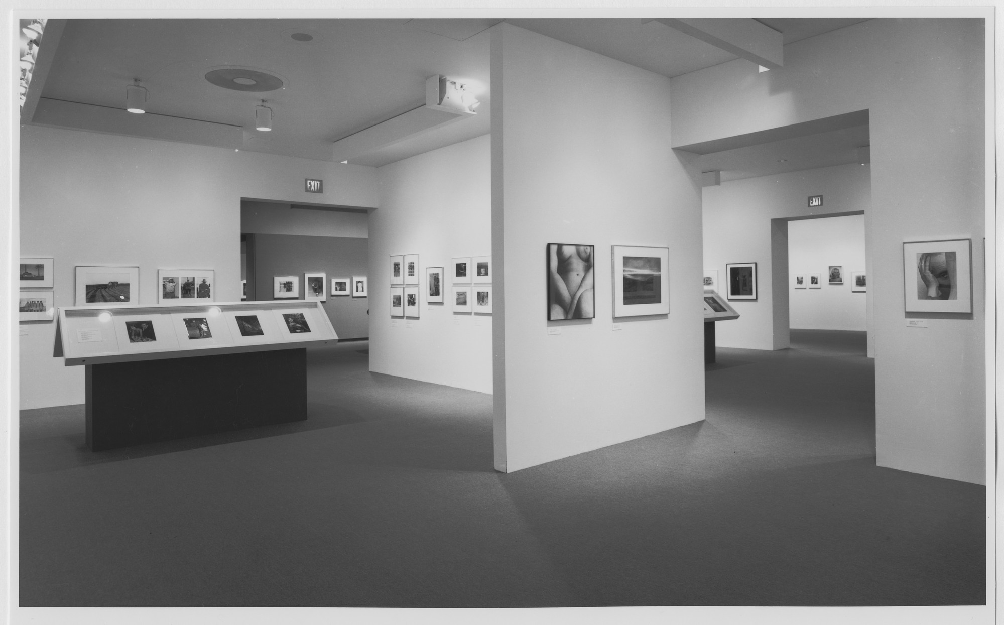 Installation view of the exhibition "Selections from the Permanent ...