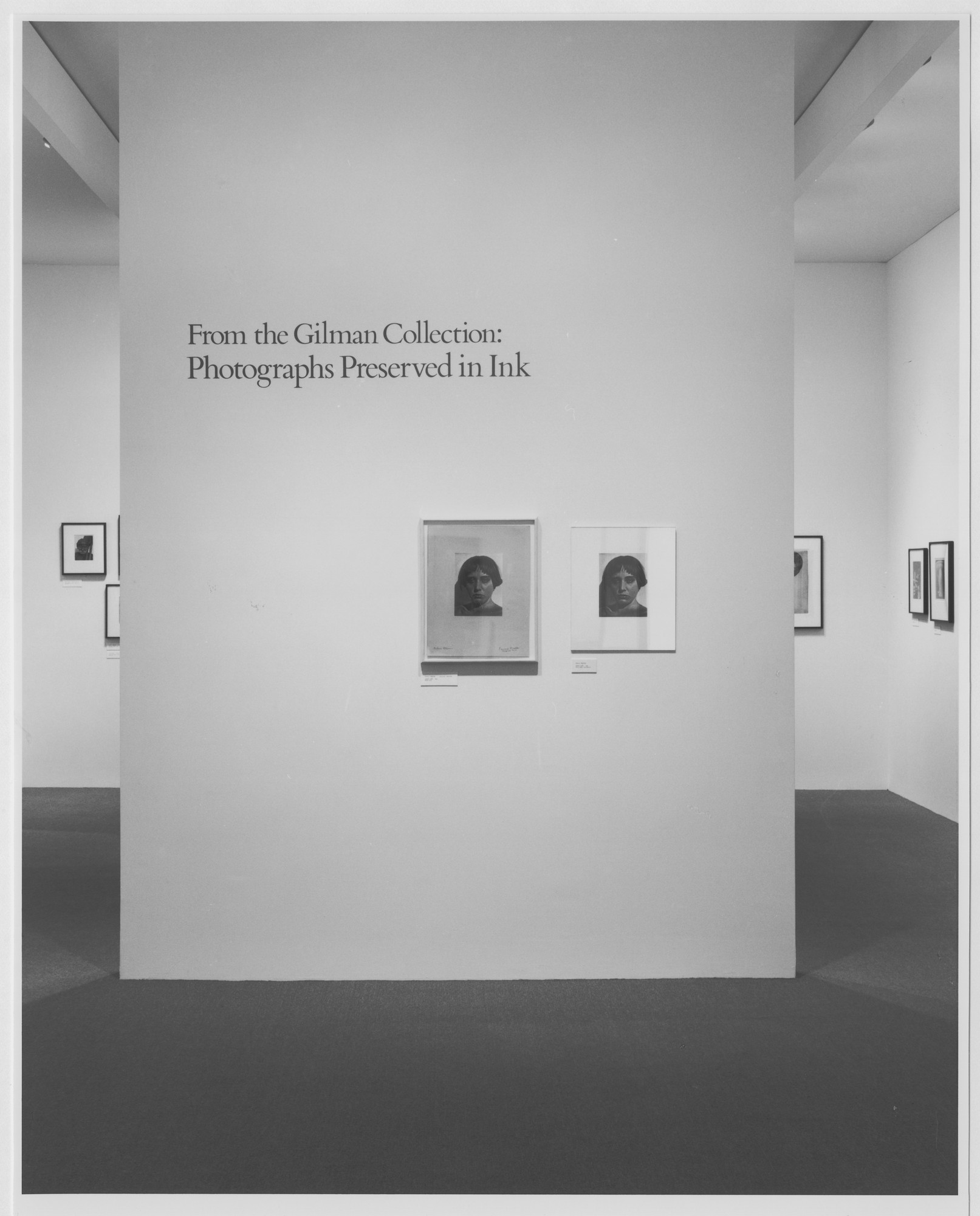 Installation view of the exhibition "From the Gilman Collection ...