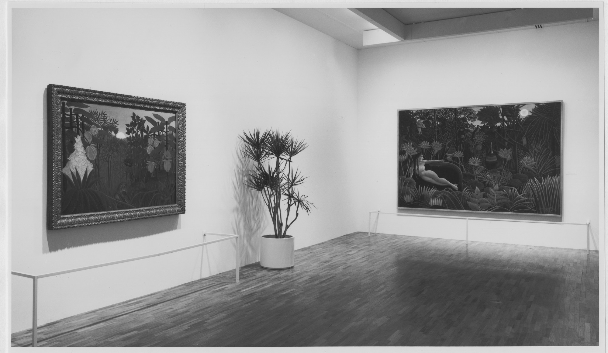 Installation view of the exhibition "Henri Rousseau" | MoMA