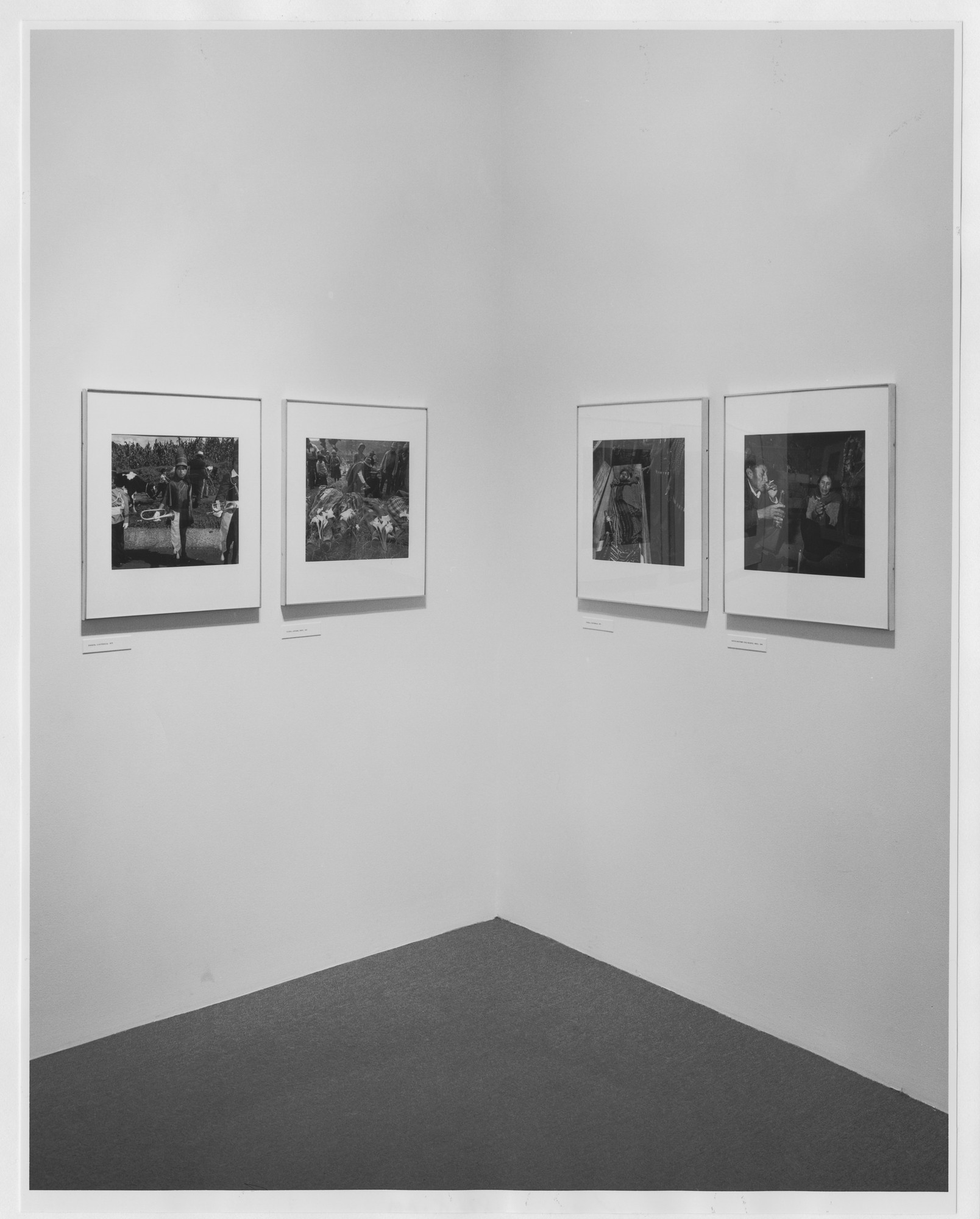 Installation view of the exhibition "Rosalind Solomon: Ritual" | MoMA