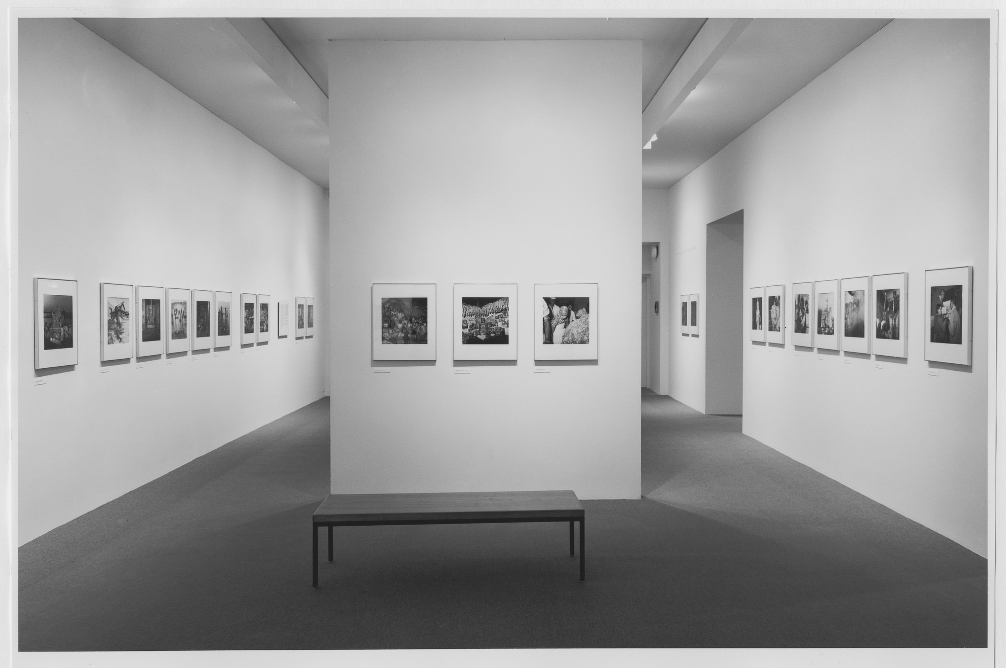 Installation view of the exhibition "Rosalind Solomon: Ritual" | MoMA