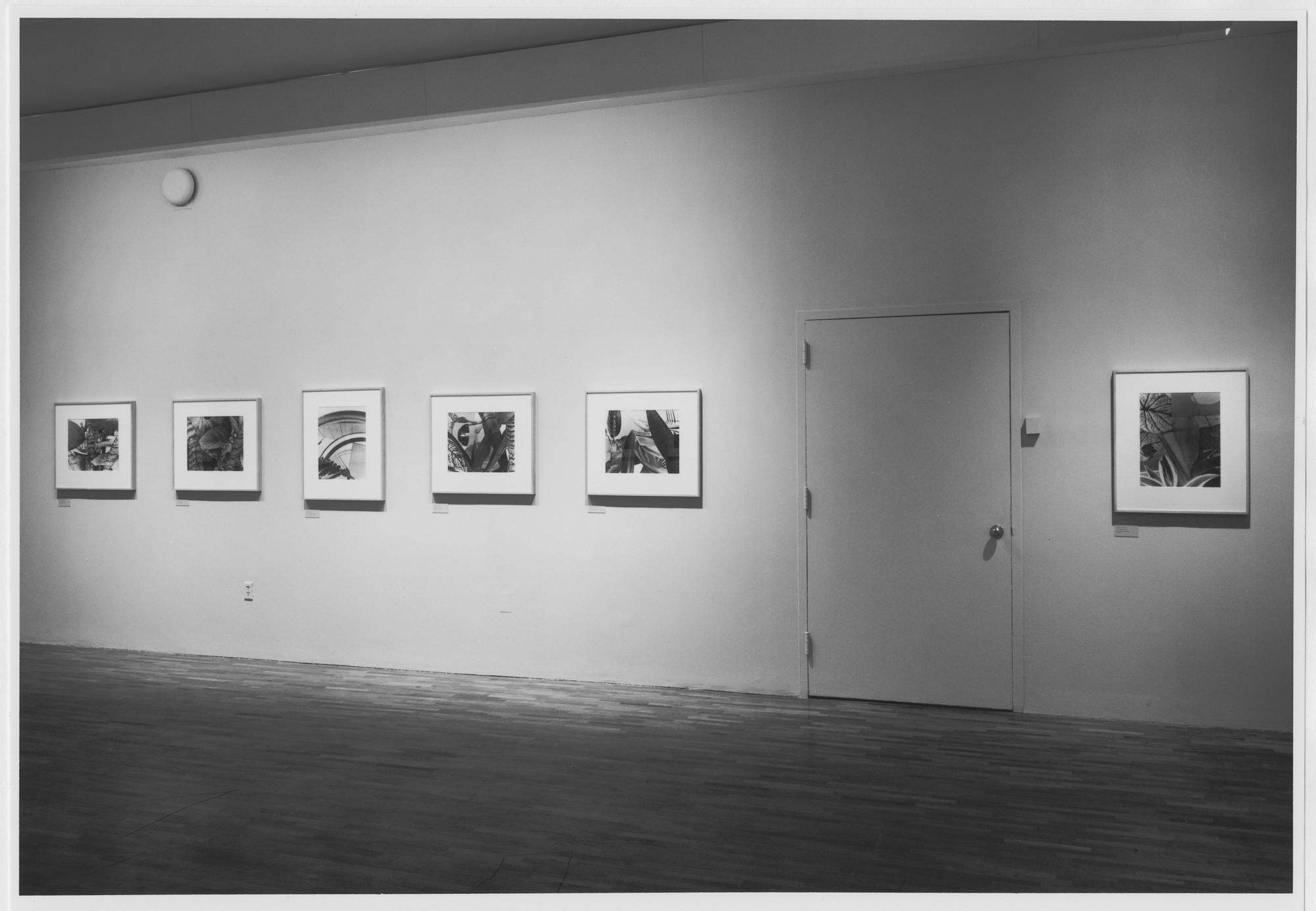 Installation view of the exhibition "Jan Groover" | MoMA