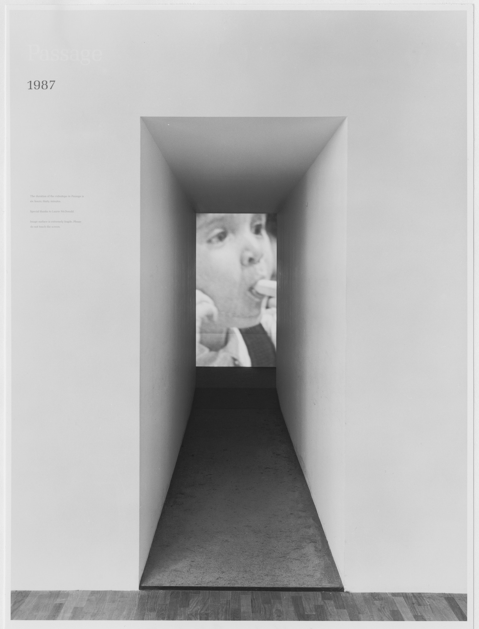 Installation view of the exhibition "Bill Viola" | MoMA