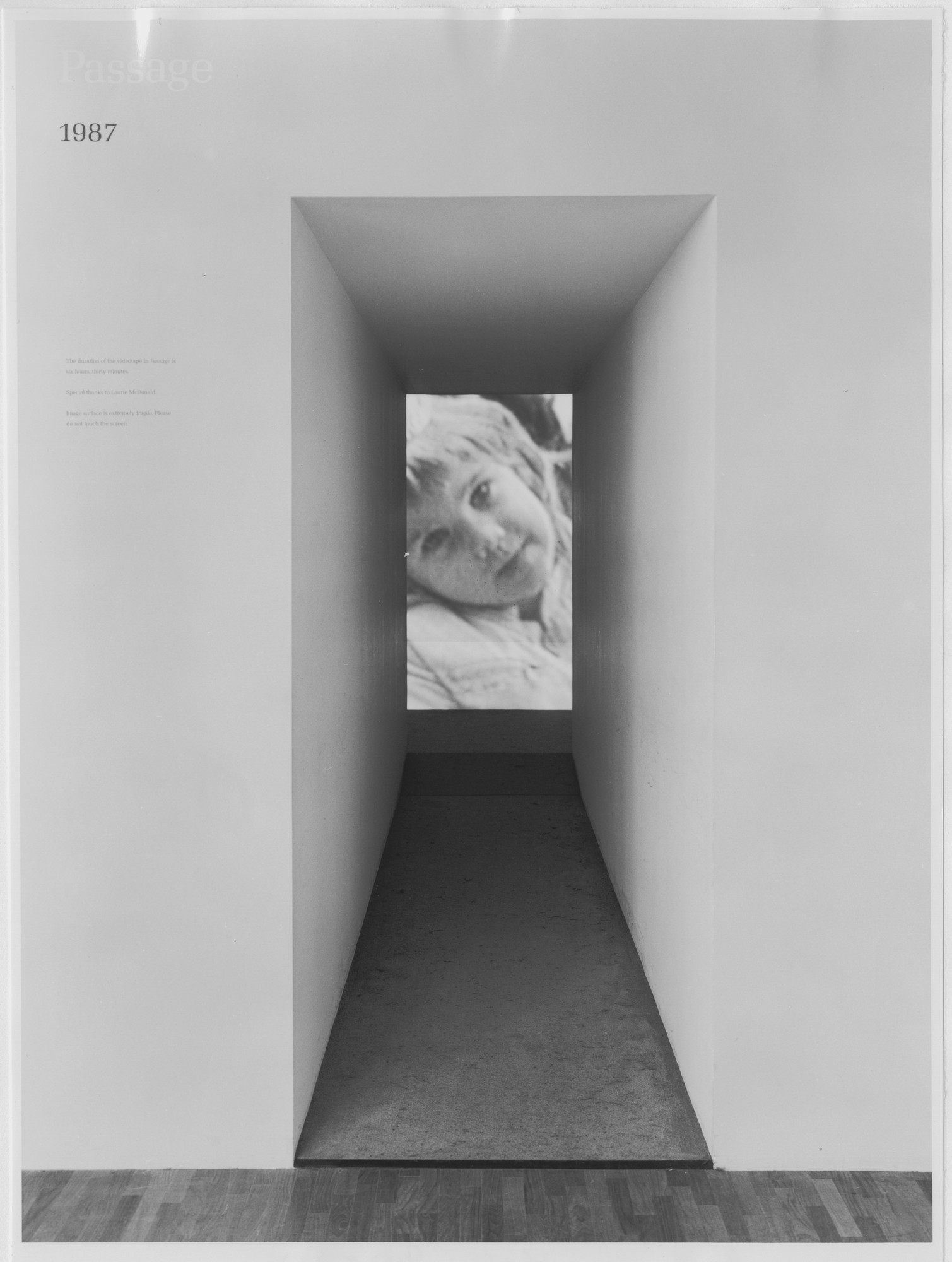 Installation view of the exhibition "Bill Viola" | MoMA