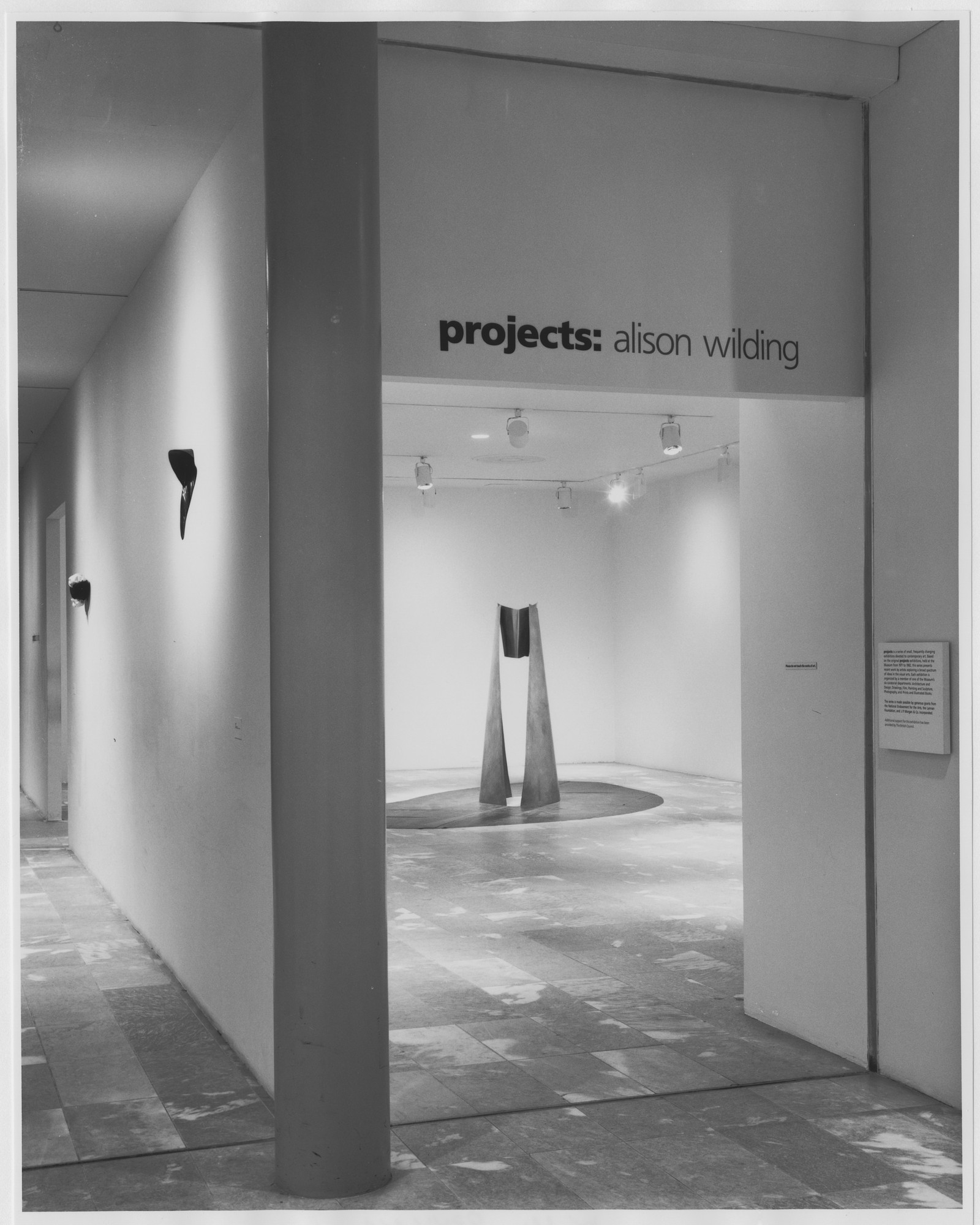 Projects 10: Alison Wilding | MoMA