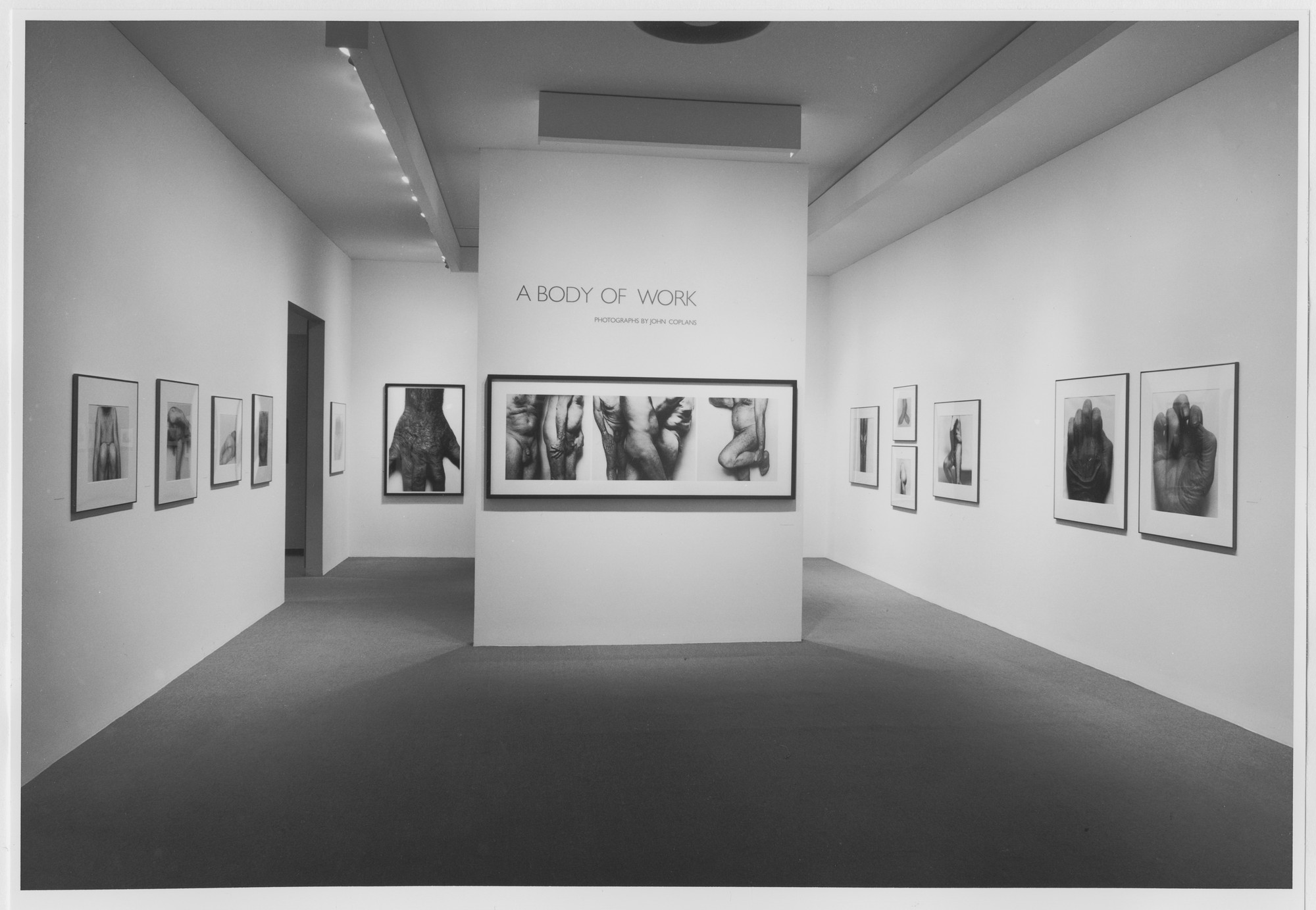 Installation view of the exhibition "A Body of Work: Photographs by ...