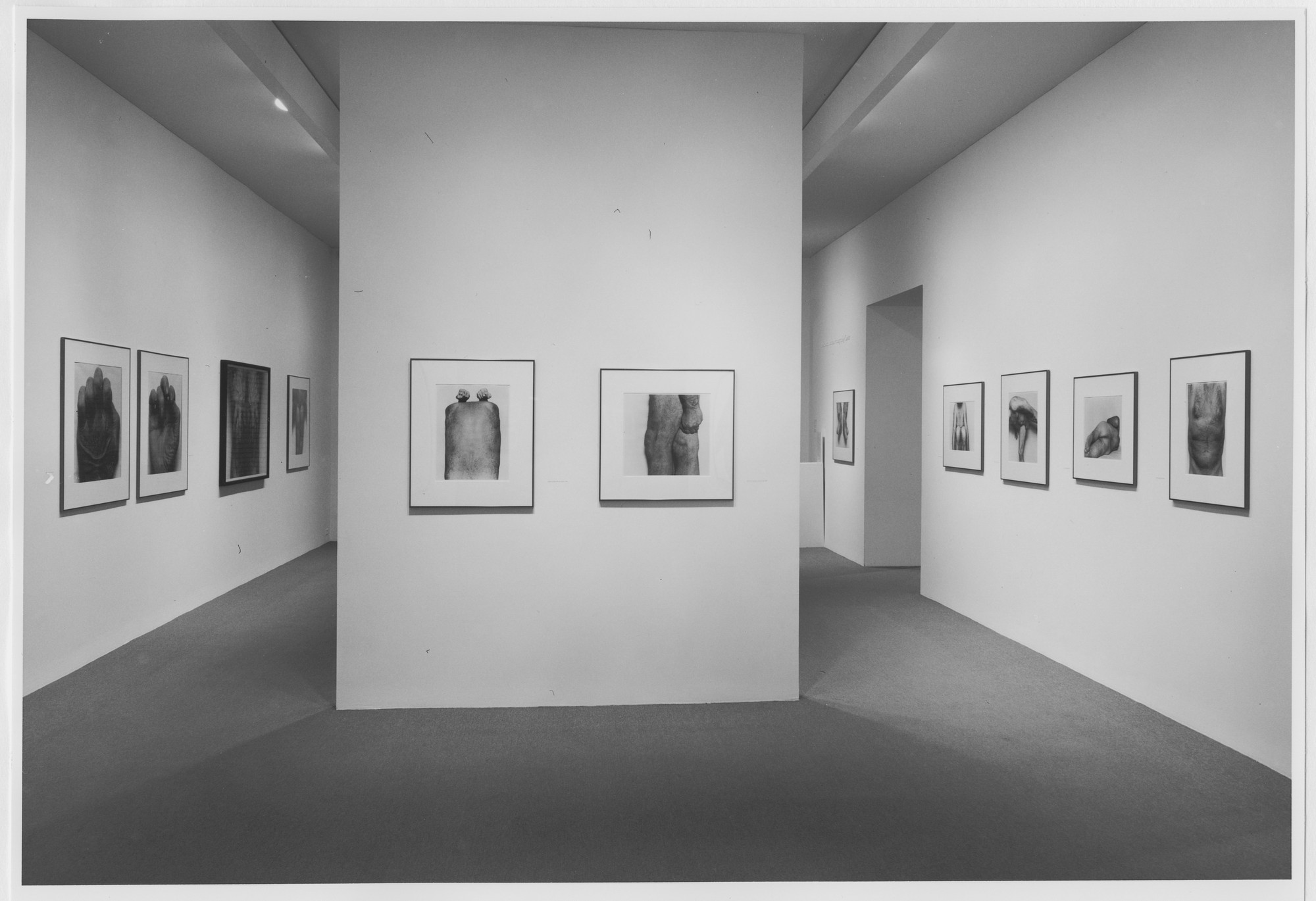 Installation view of the exhibition "A Body of Work: Photographs by ...
