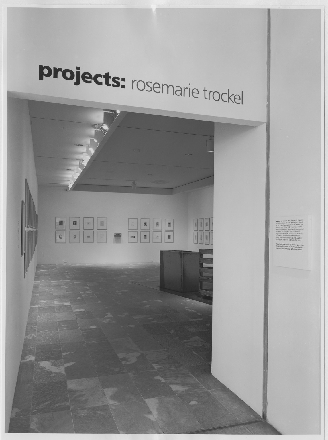 Projects 11: Rosemarie Trockel | MoMA