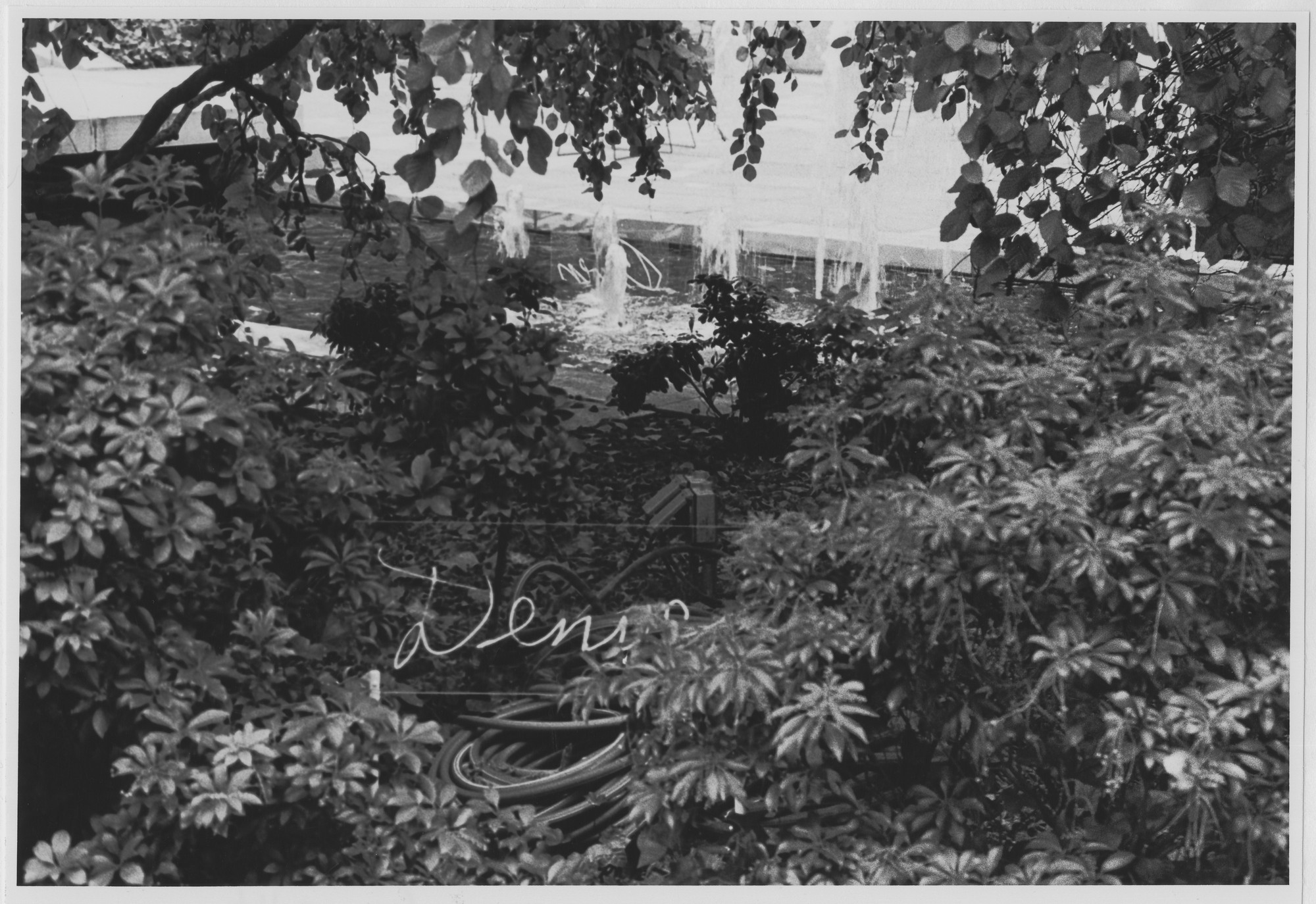 Installation view of the exhibition "Projects 14: Kate Ericson and Mel ...