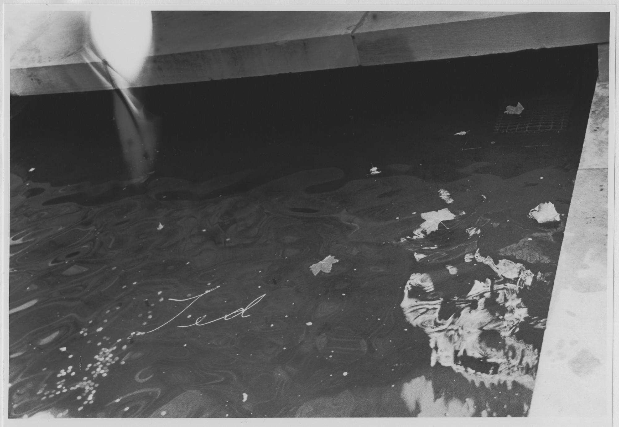 Installation view of the exhibition "Projects 14: Kate Ericson and Mel ...