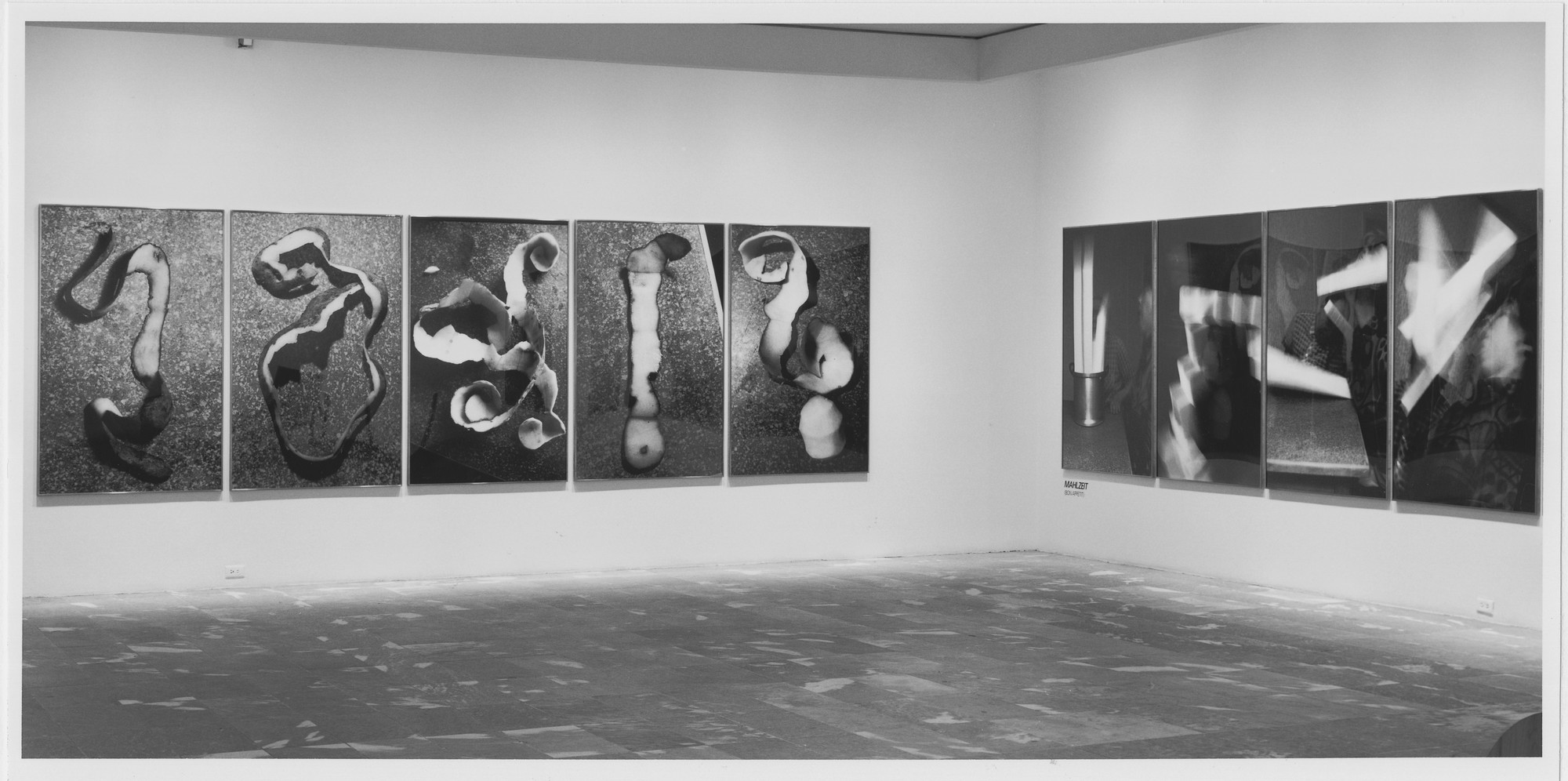 Installation view of the exhibition "Projects 16: Bernhard and Anna ...