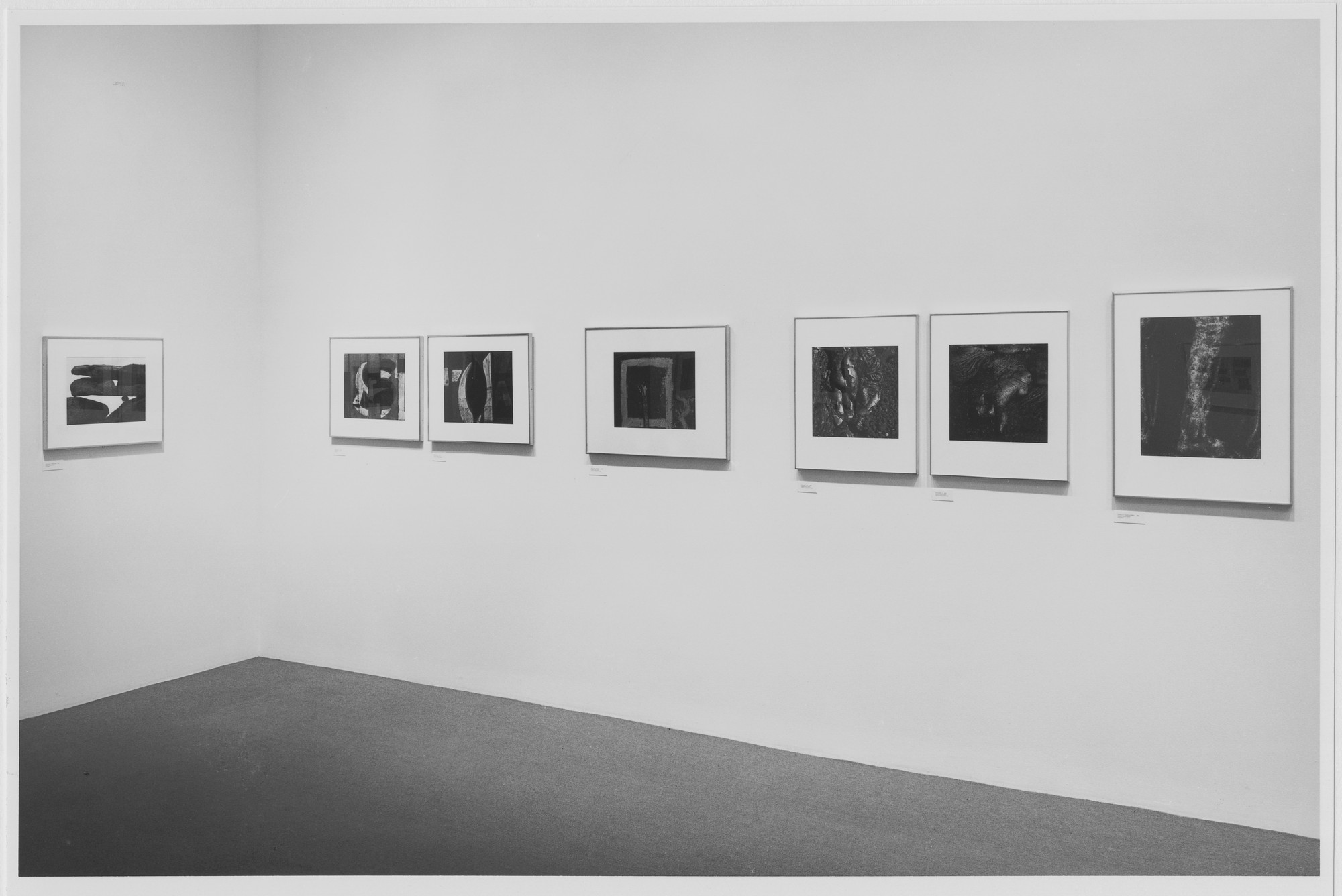 Installation view of the exhibition "Siskind in the Collection" | MoMA
