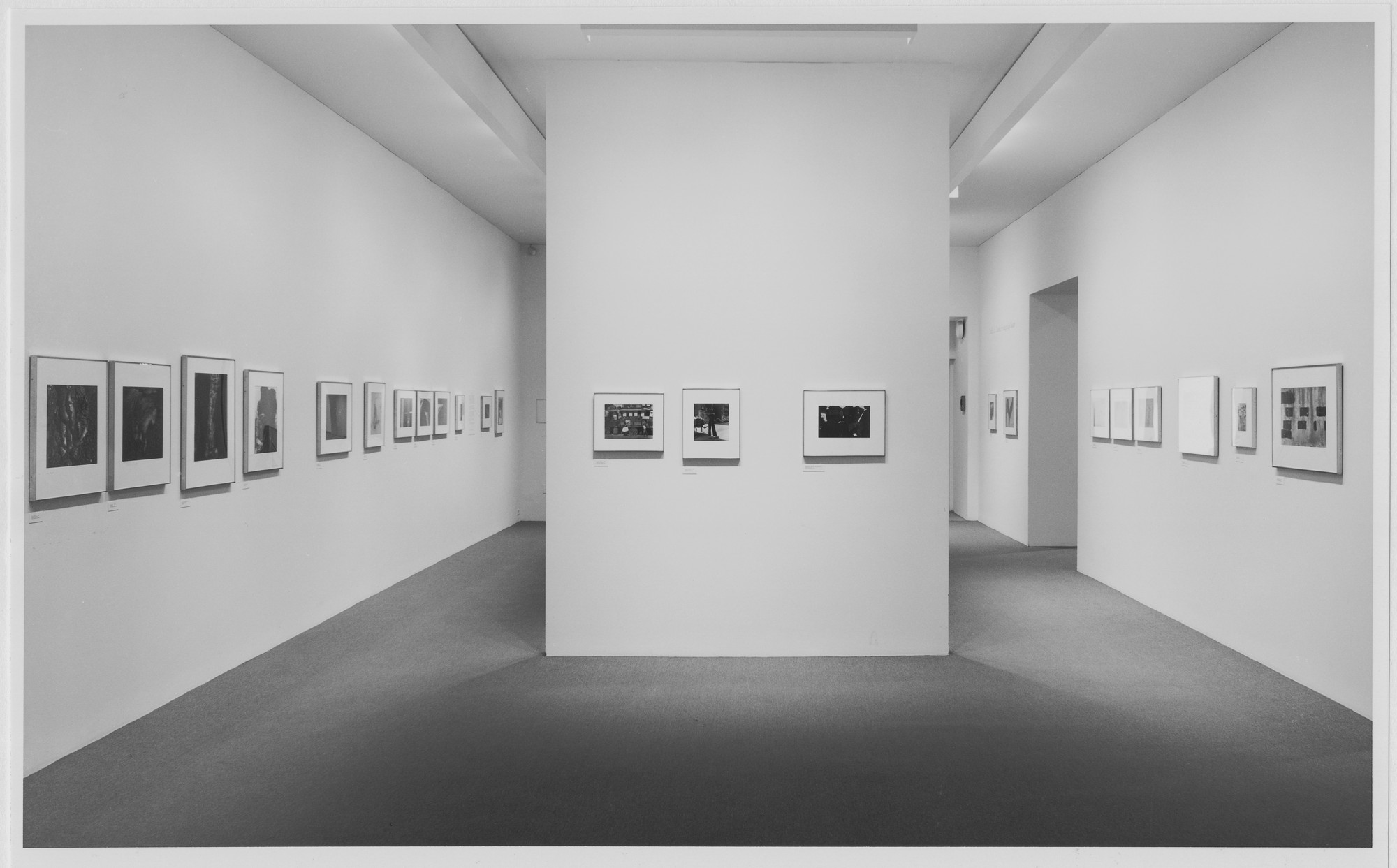 Installation view of the exhibition "Siskind in the Collection" | MoMA