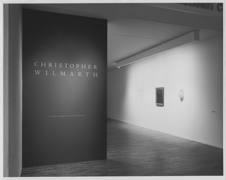 Christopher Wilmarth | MoMA