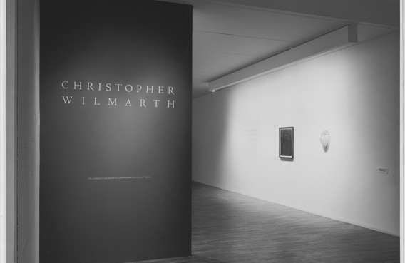 Christopher Wilmarth | MoMA