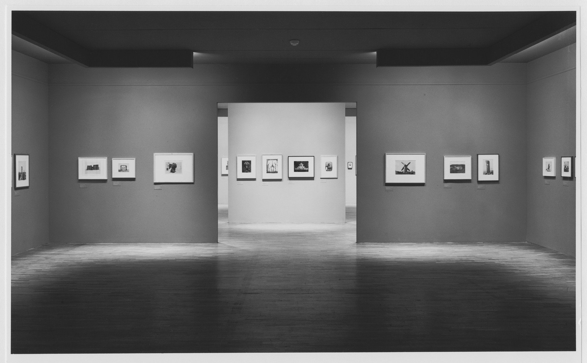 Installation view of the exhibition "Photography Until Now" | MoMA