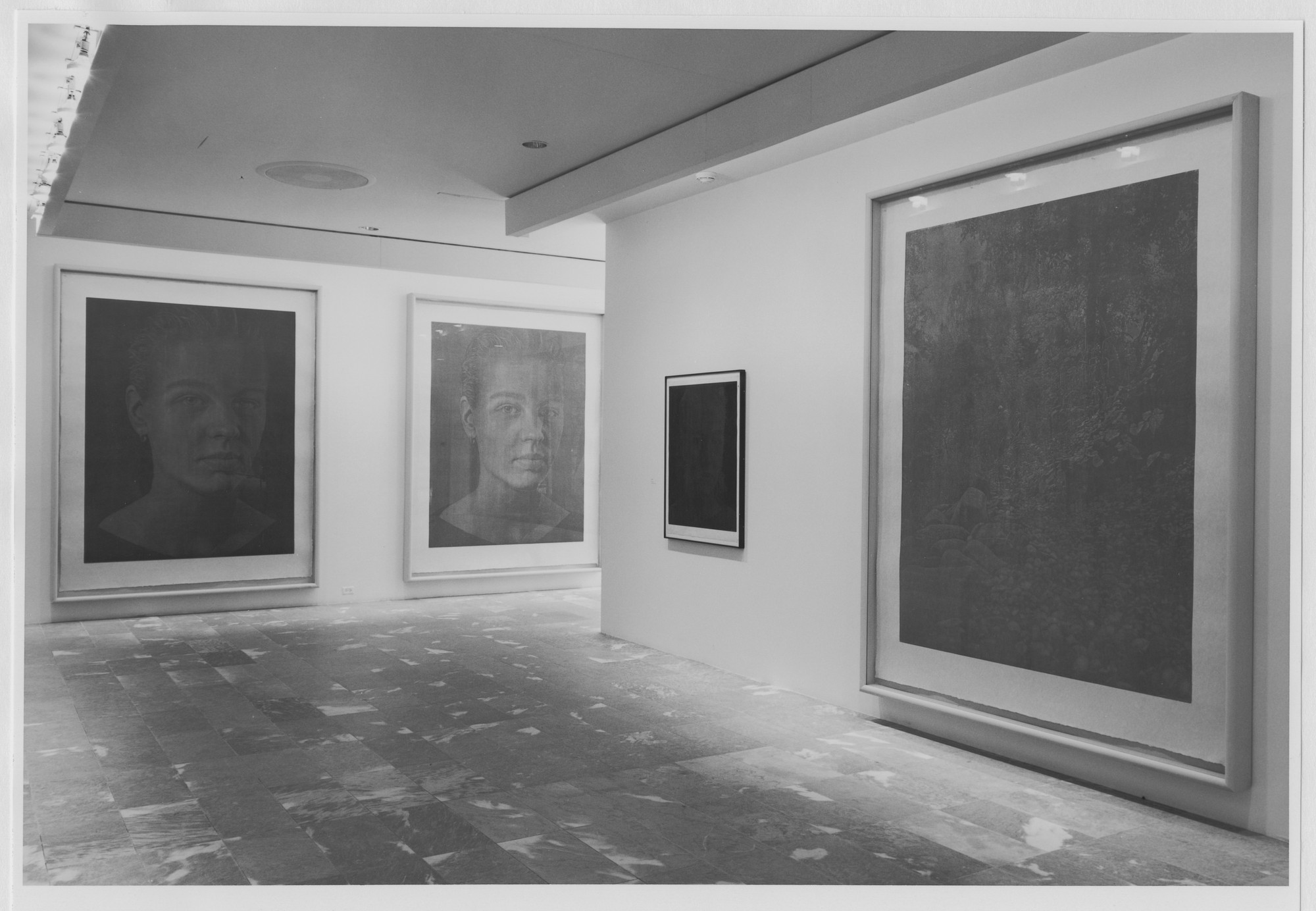 Installation view of the exhibition "Projects 22: Franz Gertsch" | MoMA