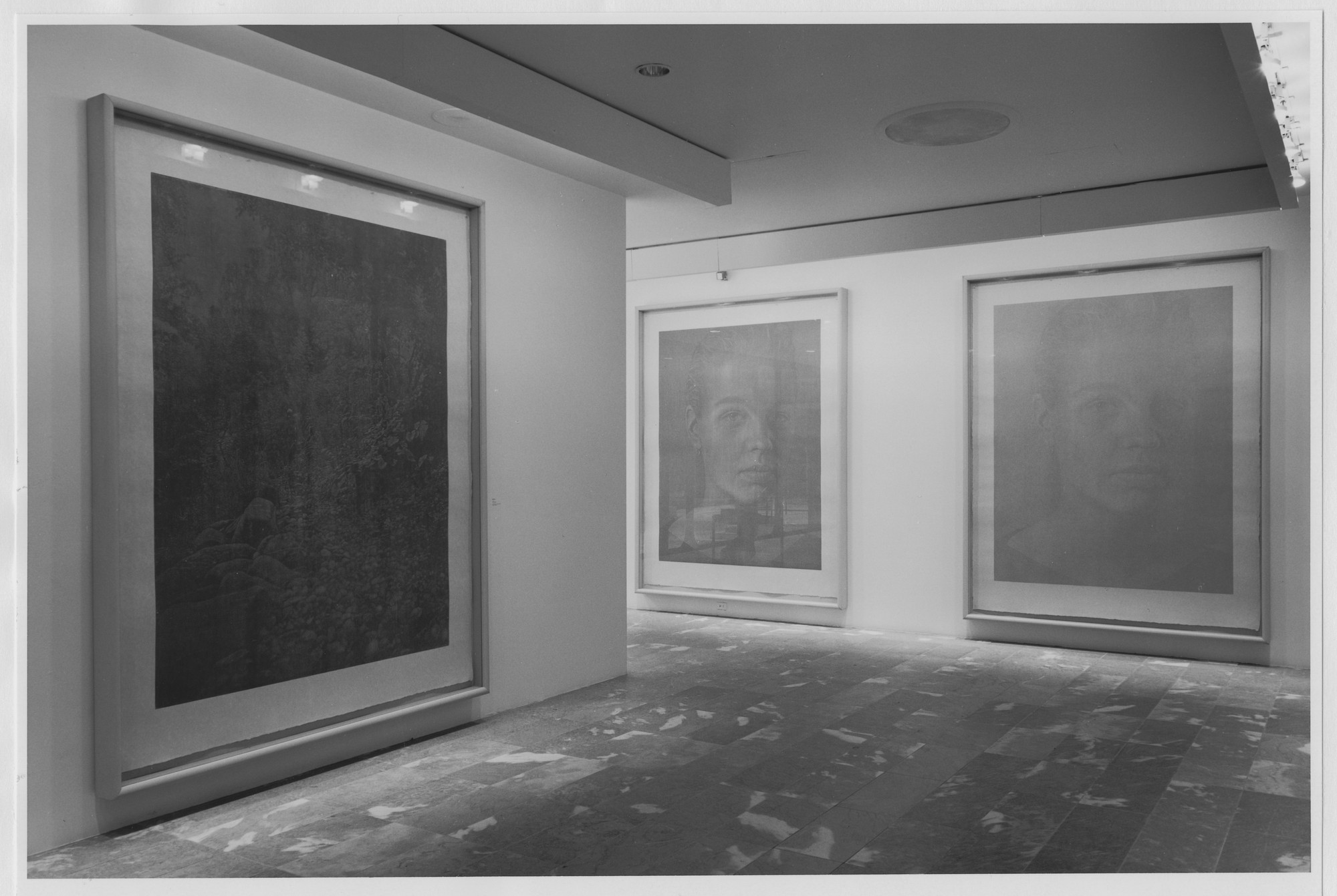 Installation view of the exhibition "Projects 22: Franz Gertsch" | MoMA