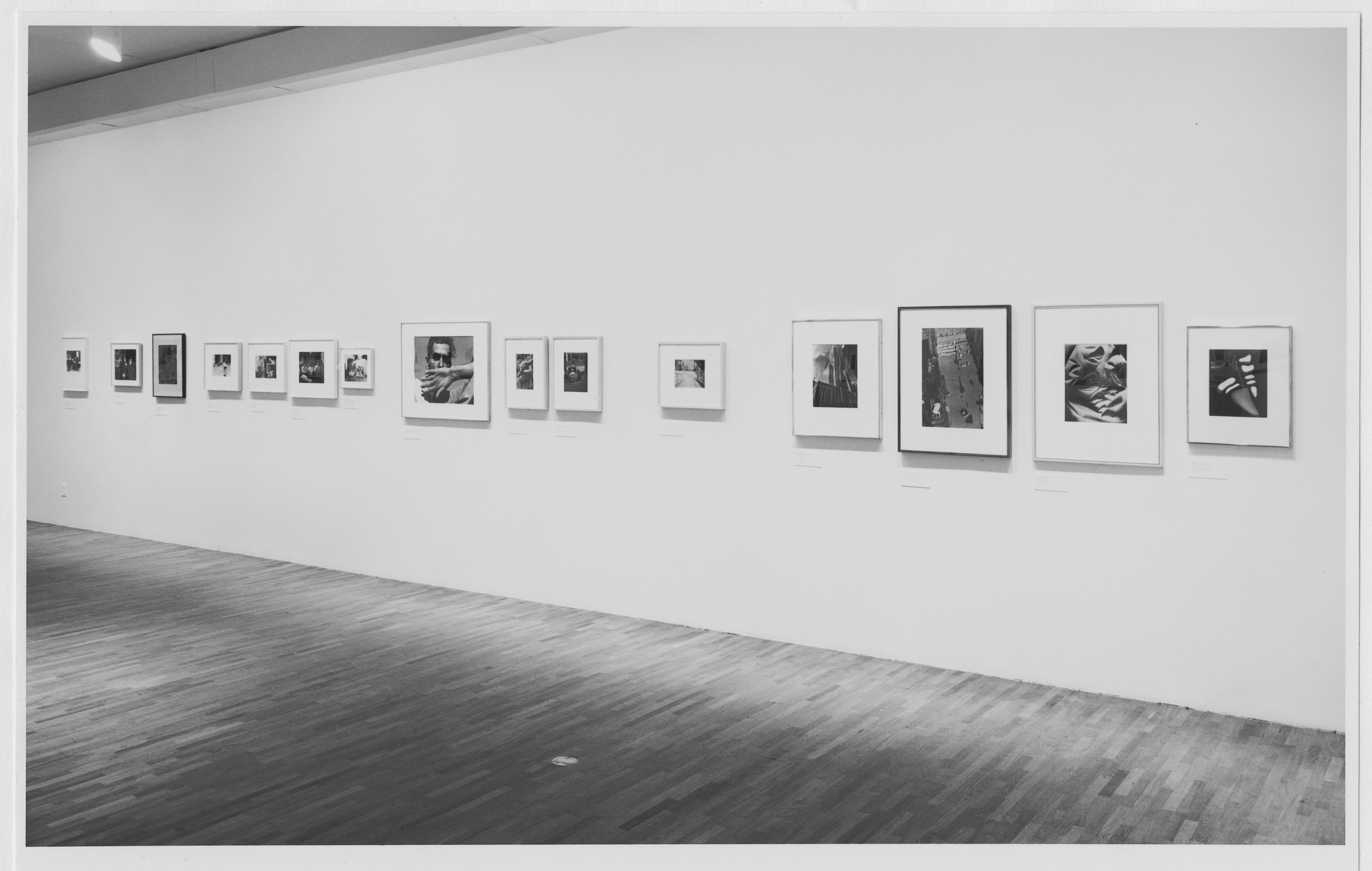 Installation view of the exhibition "Photography Until Now" | MoMA