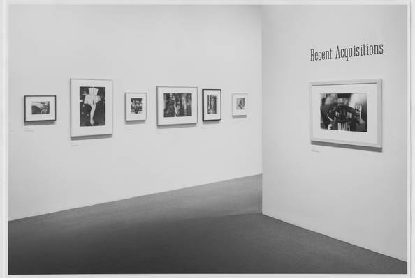 Jan Groover. Untitled. 1988 | MoMA