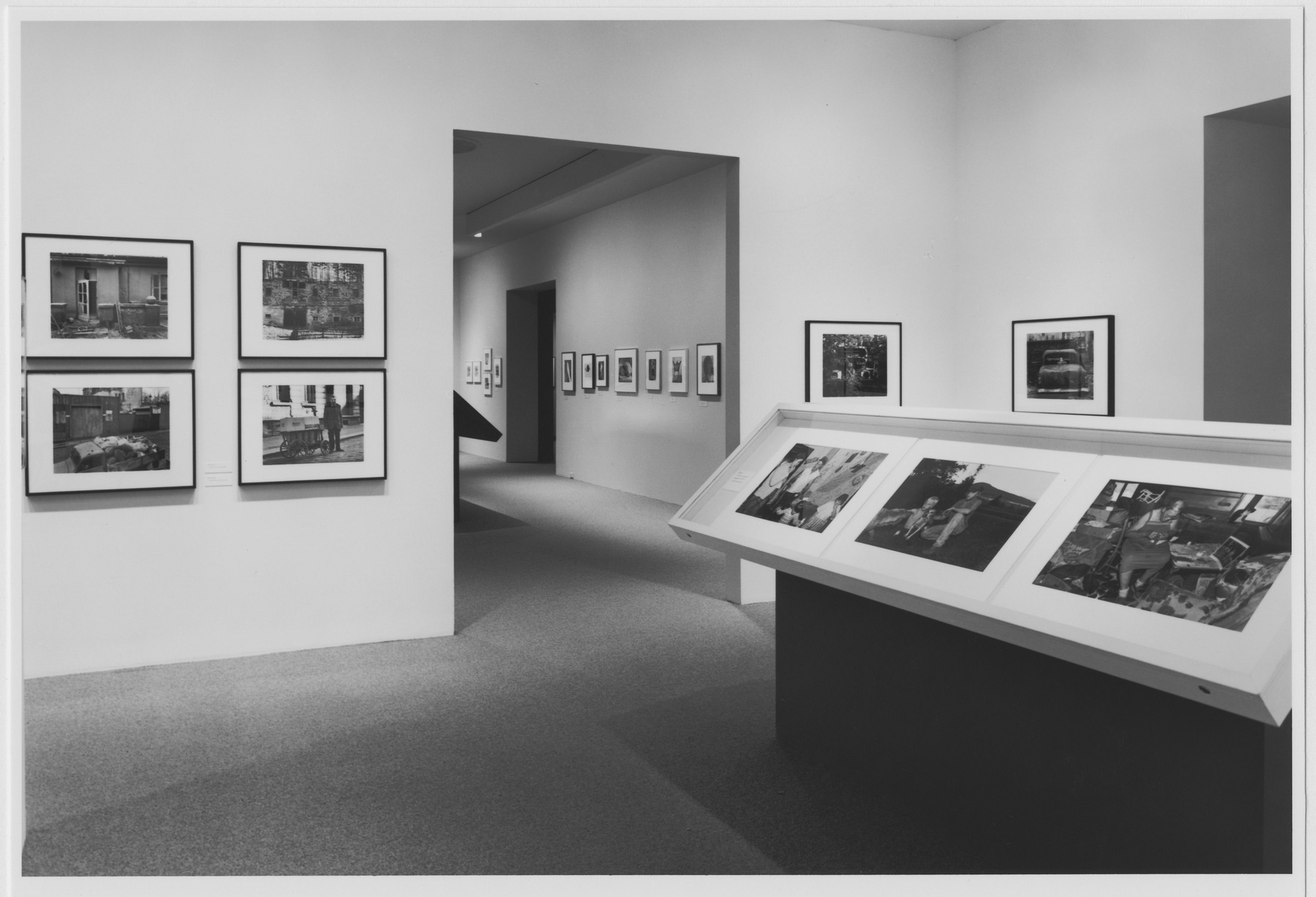 Installation view of the exhibition "New Photography 7" | MoMA
