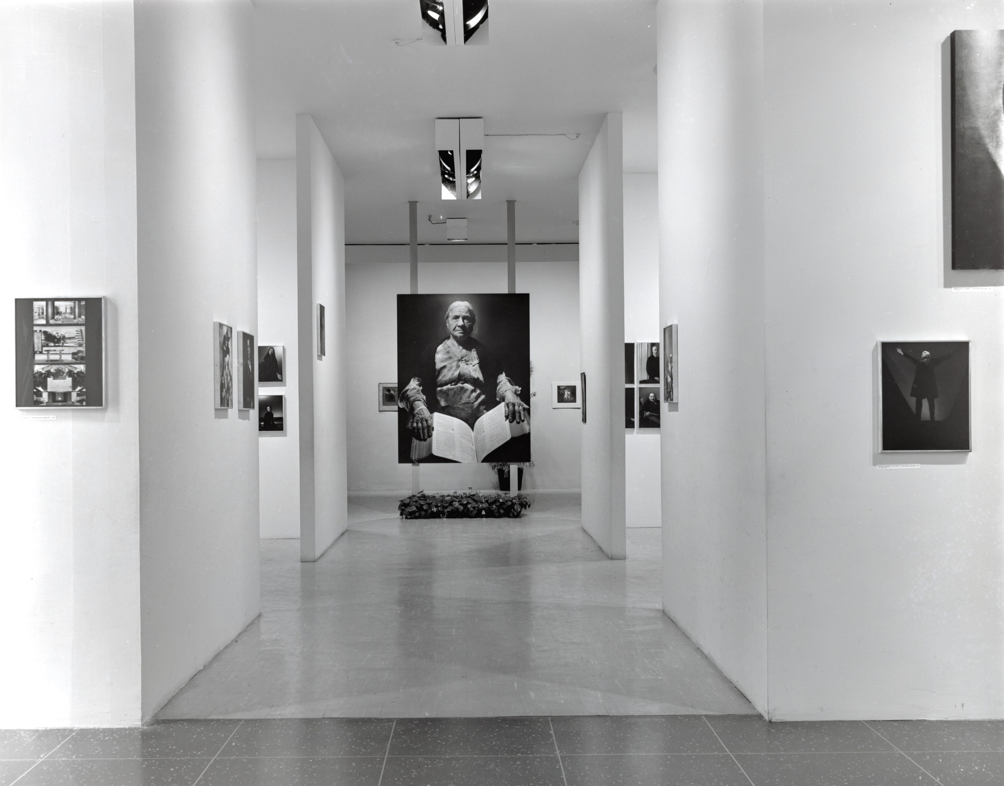 Installation view of the exhibition "Steichen the Photographer" | MoMA
